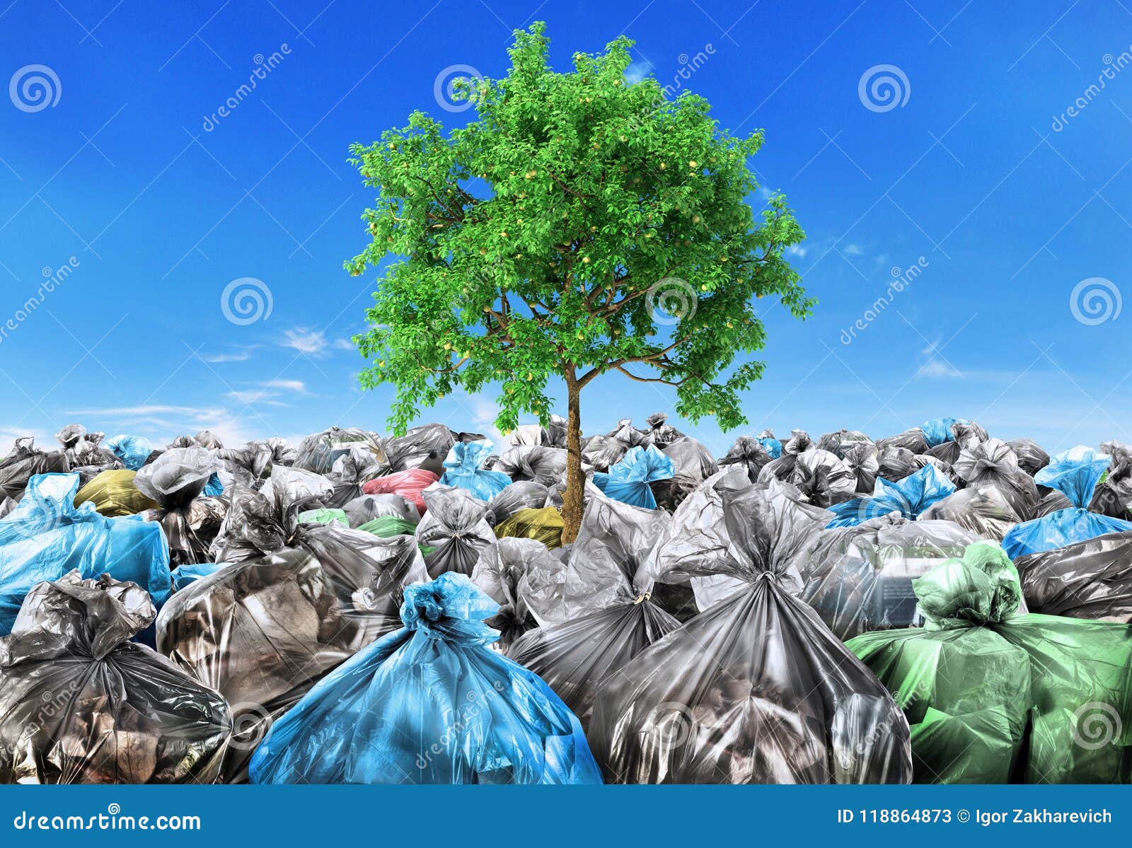 Rebirth Concept. a Tree Grows from a Pile of Garbage Stock Image ...