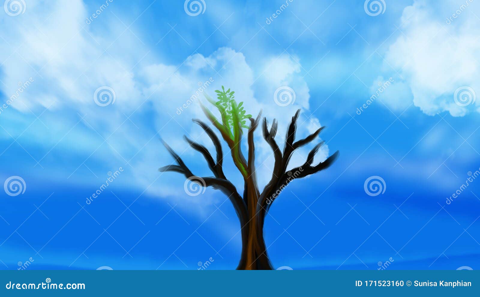 Rebirth of Tree after the Forest Fire with Bright Blue Sky Stock ...