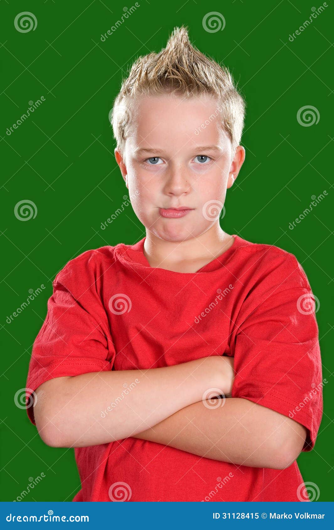 Recalcitrant stock afbeelding. Image of groen, defensie - 31128415