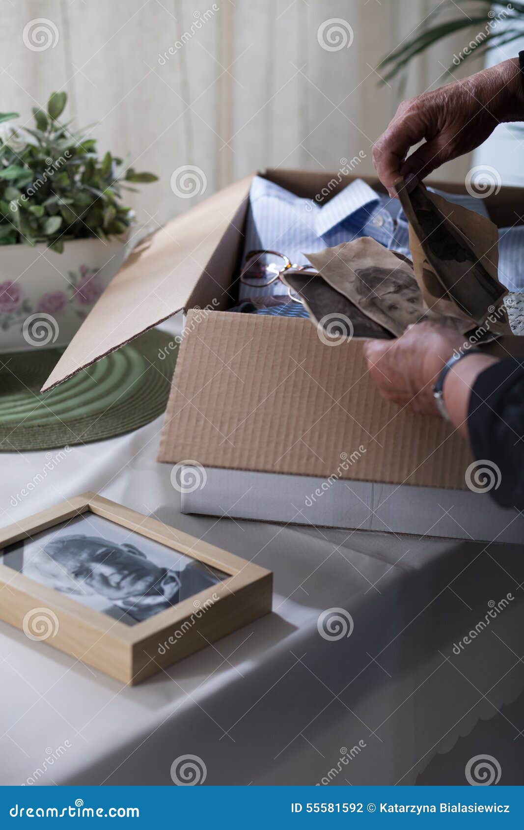 Recalling good memories stock photo. Image of search - 55581592