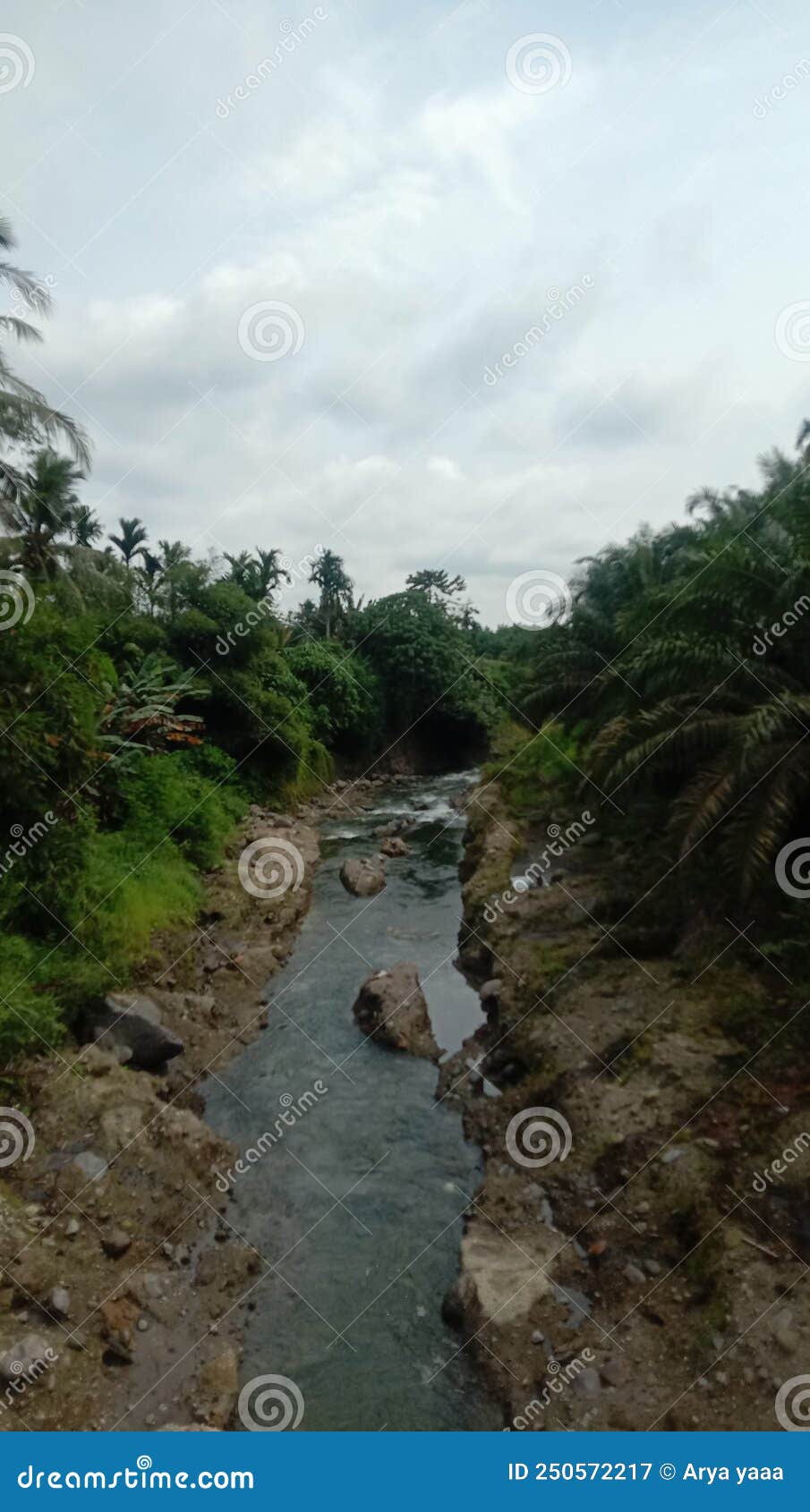 A Receding River in the Terrain of Indonesia with Clear Water Stock ...
