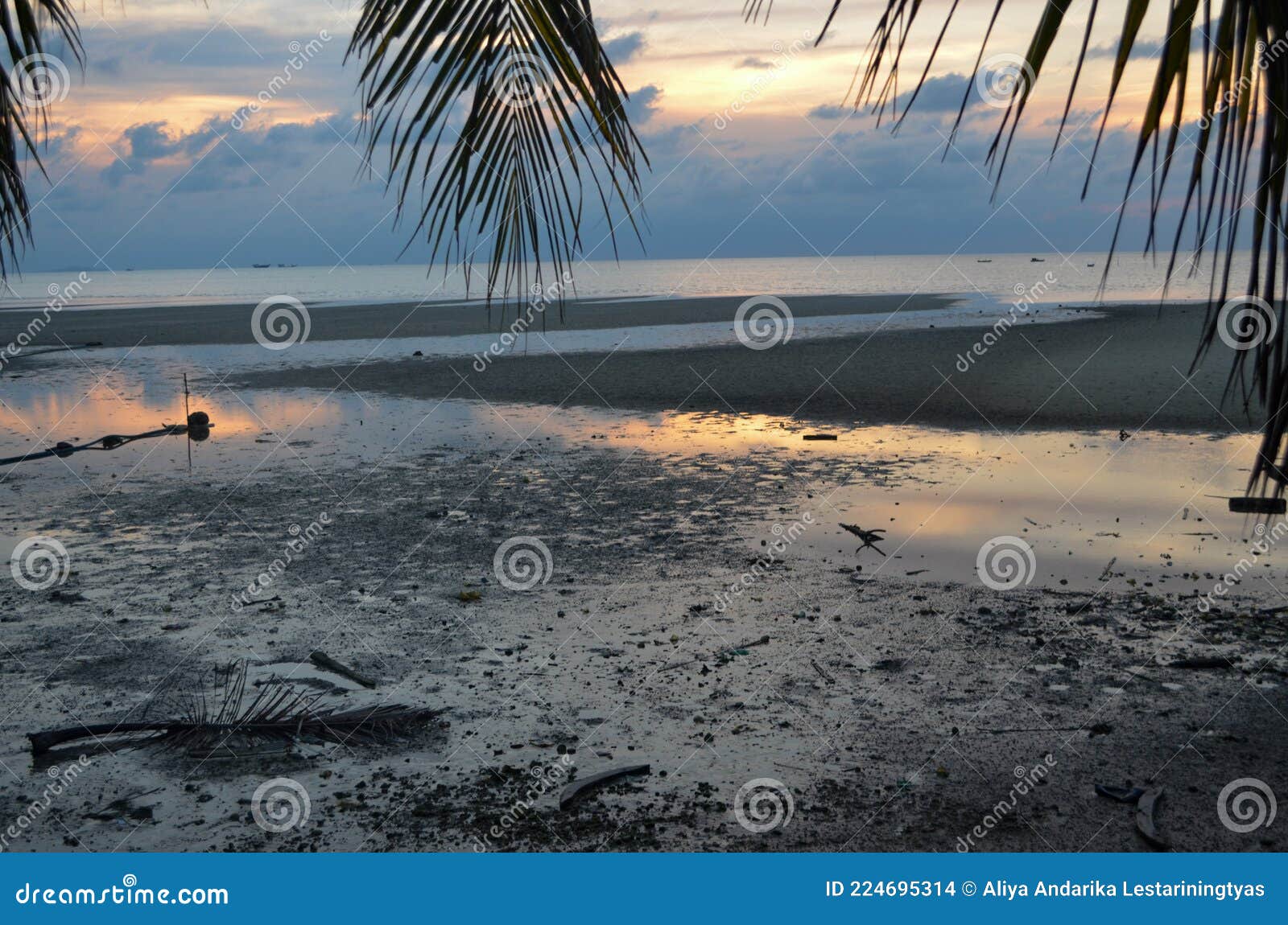 Receding sea on the beach stock photo. Image of morning - 224695314