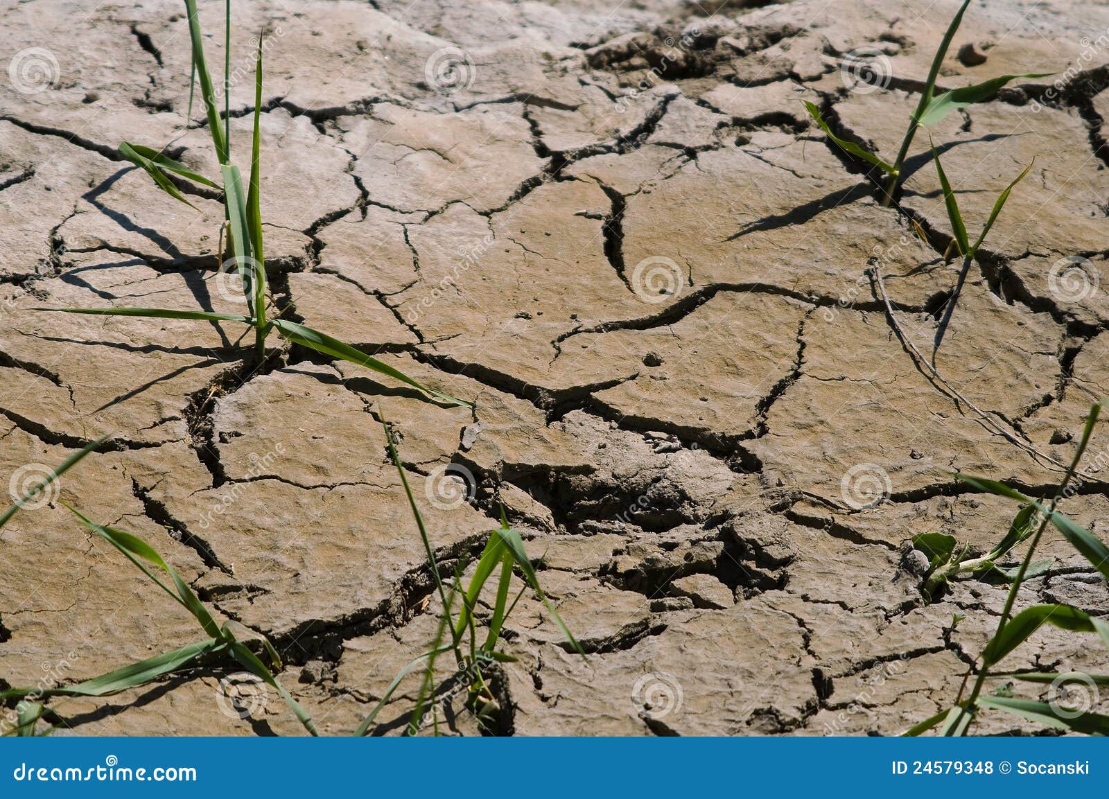 Receding Water stock photo. Image of receding, scorched - 24579348