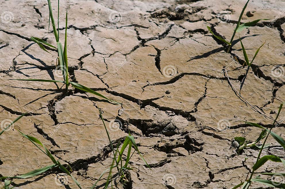 Receding Water stock photo. Image of receding, scorched - 24579348