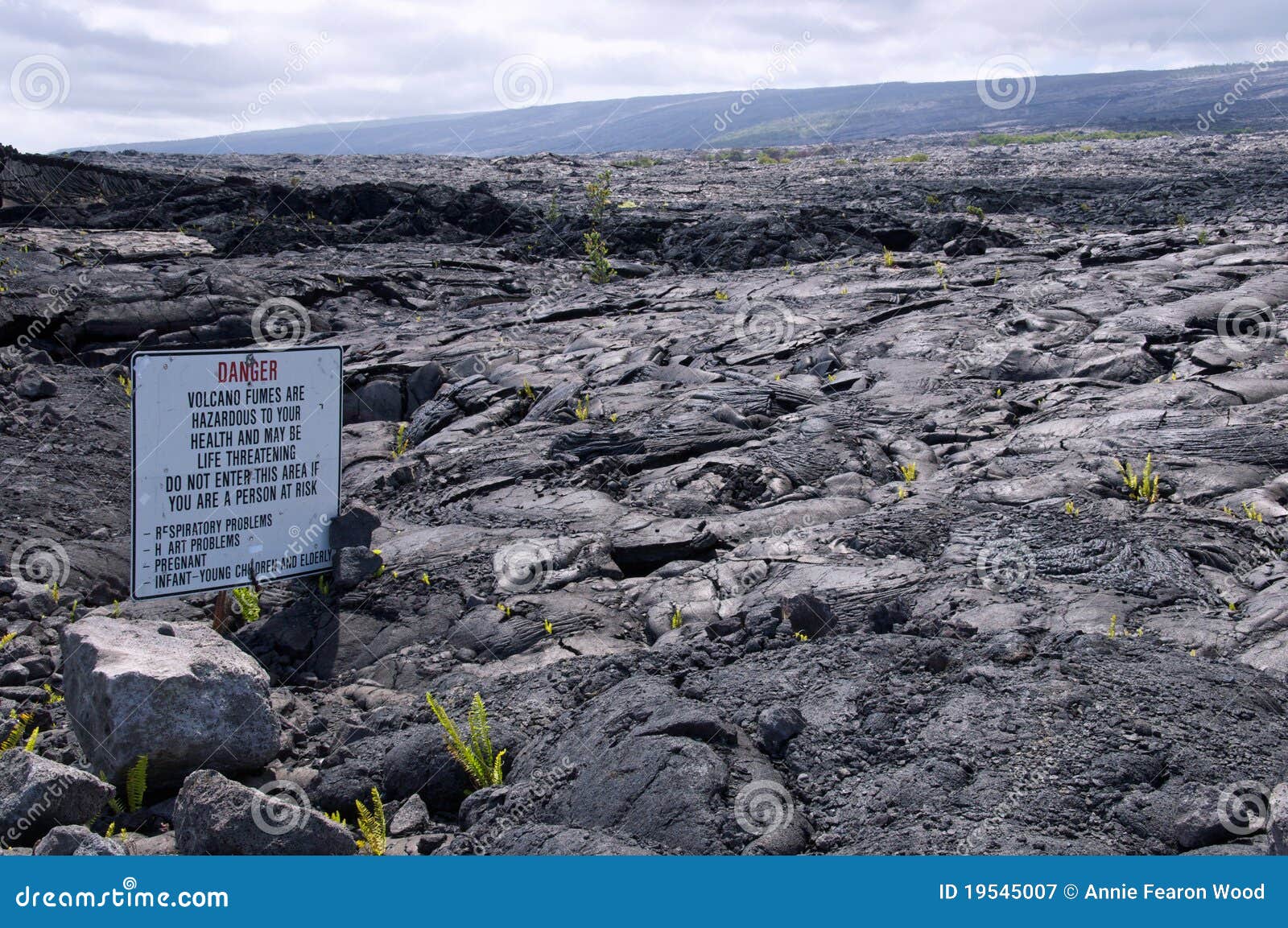 Recent Lava Flow, Kalapana, Hawaii Stock Image - Image of mauna ...
