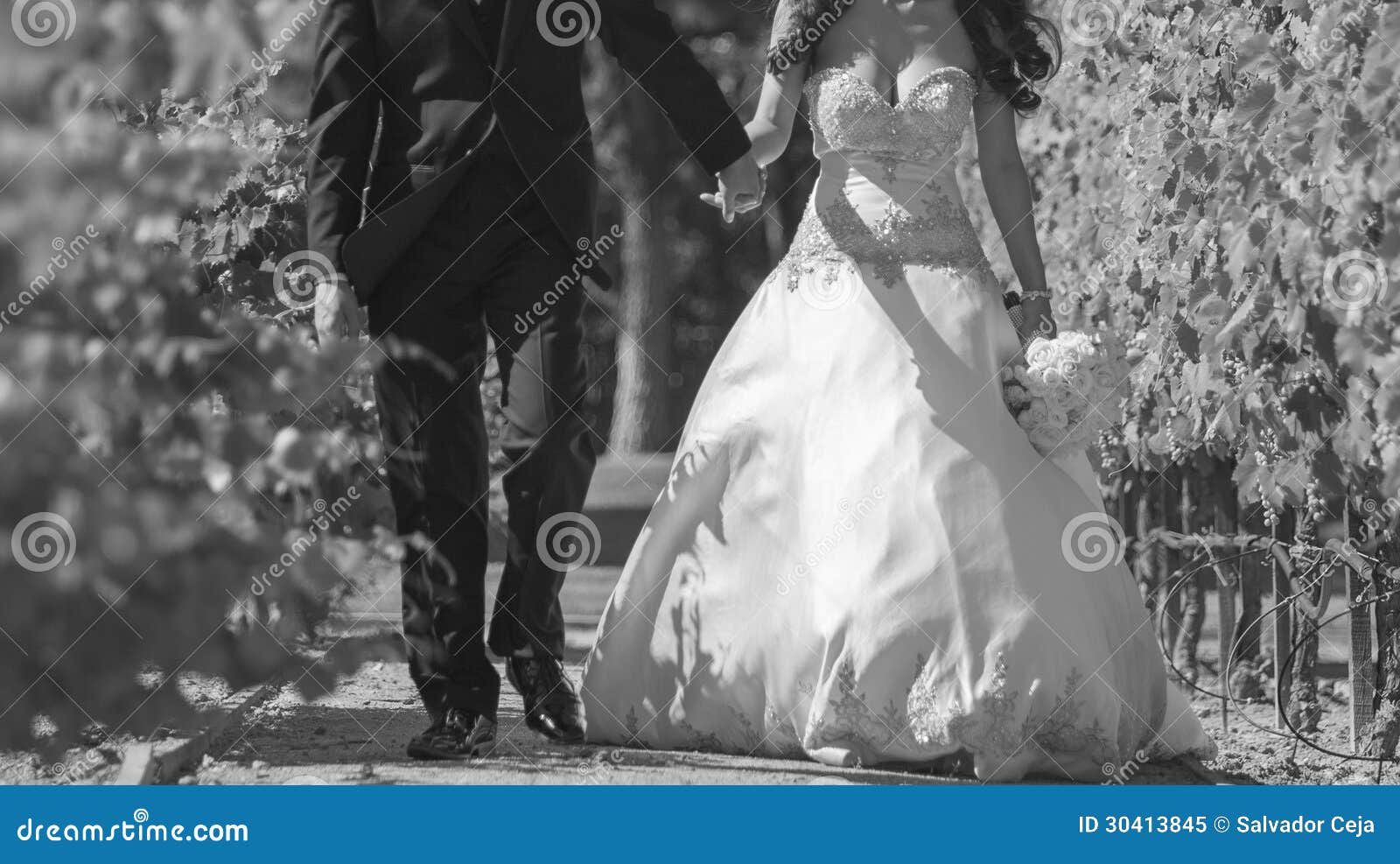 Recentemente Sposato Wed Le Coppie Immagine Stock - Immagine di governi ...