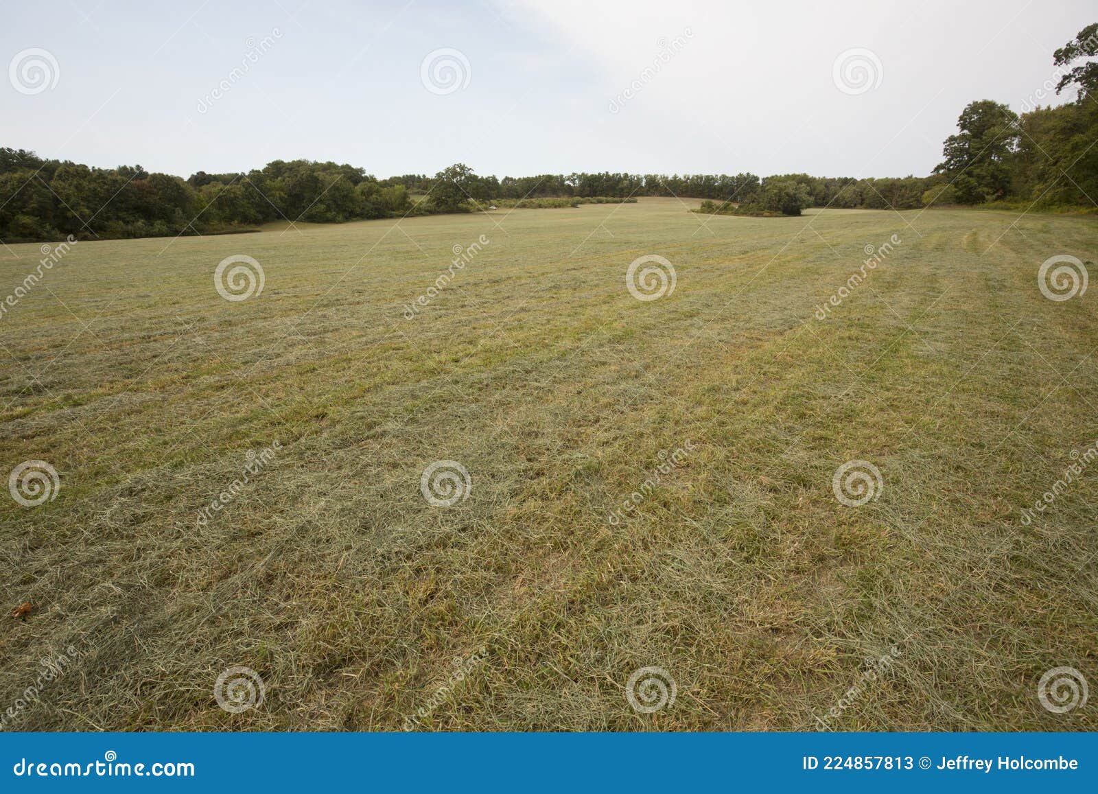 Recently Cut Hay Field in Somers, Connecticut Stock Image - Image of ...