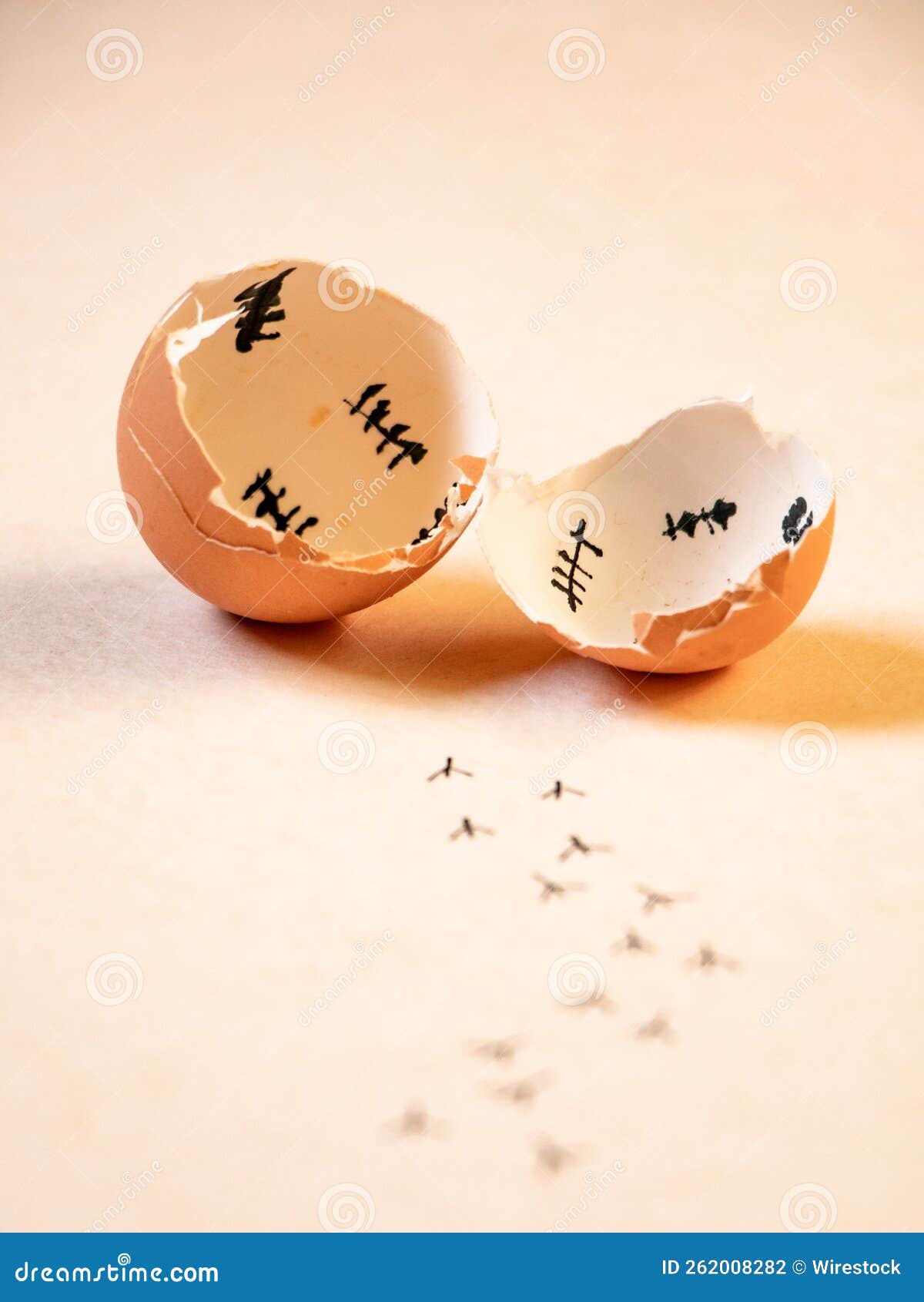 Recently Hatched Egg with Tally Marks Inside and Footprints Leading ...