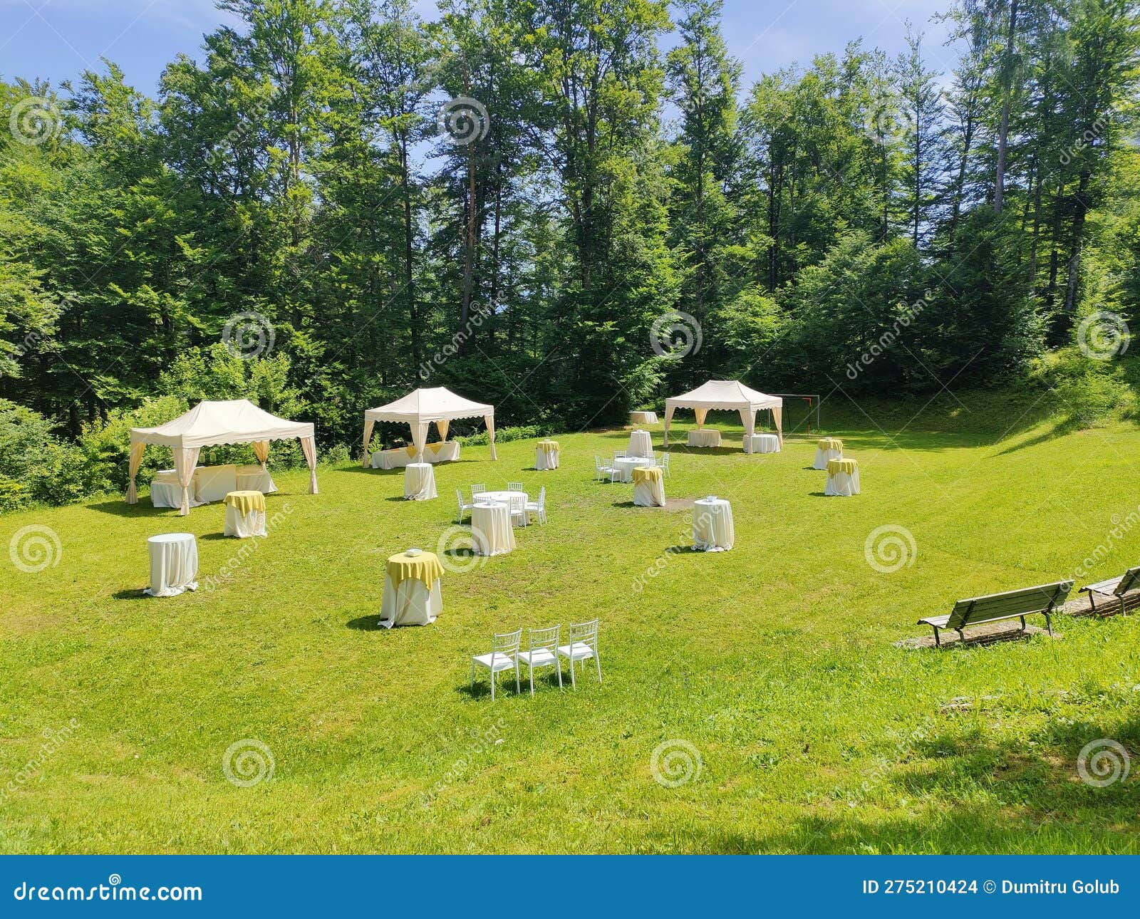 Reception in a Clearing in the Middle of Nature Editorial Stock Image ...