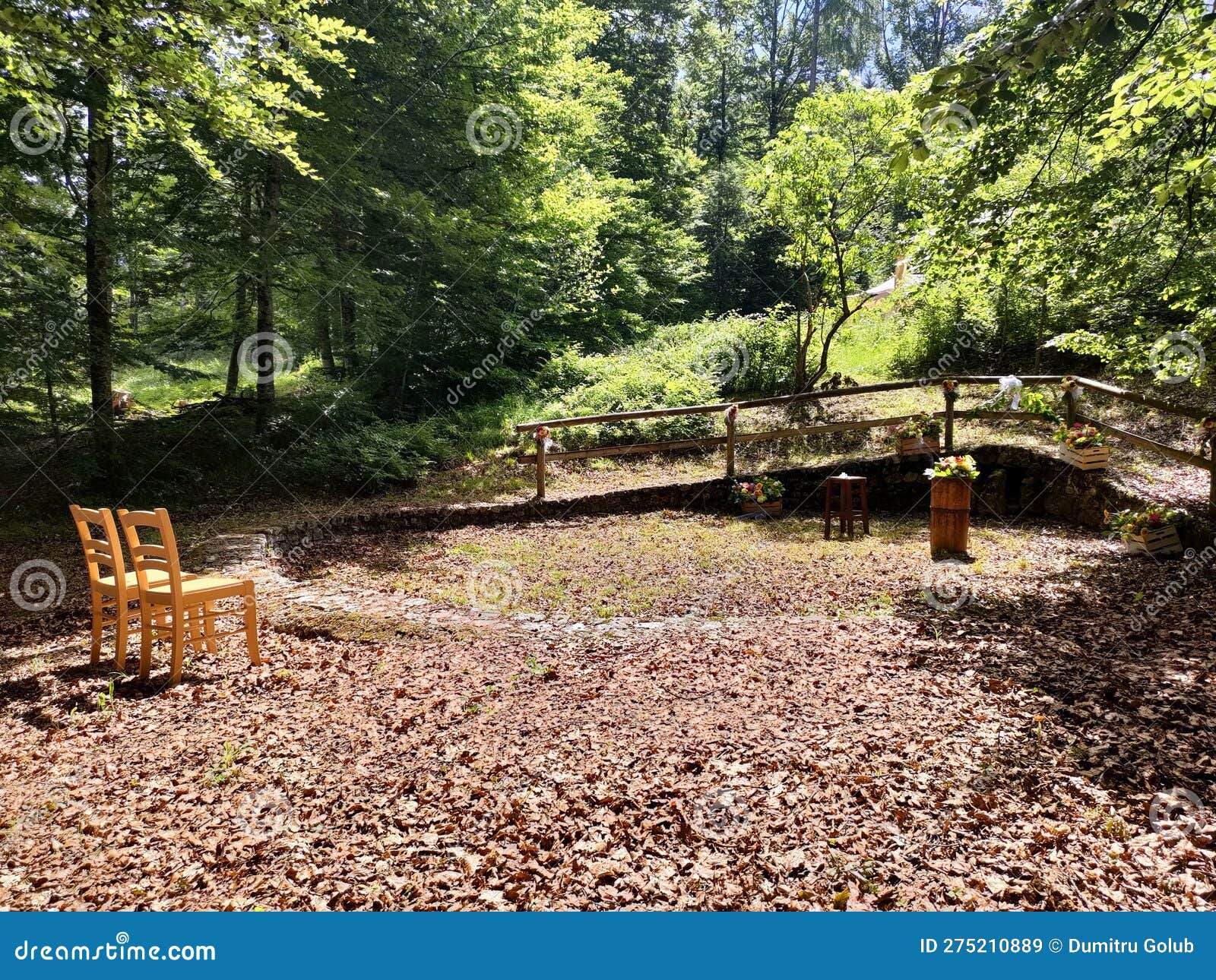 Reception in a Clearing in the Middle of Nature. Stock Image - Image of ...