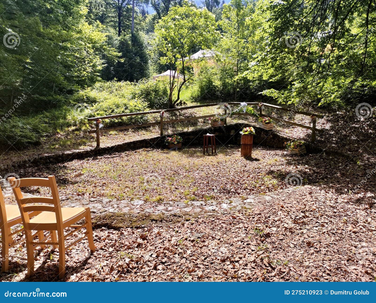 Reception in a Clearing in the Middle of Nature. Stock Image - Image of ...
