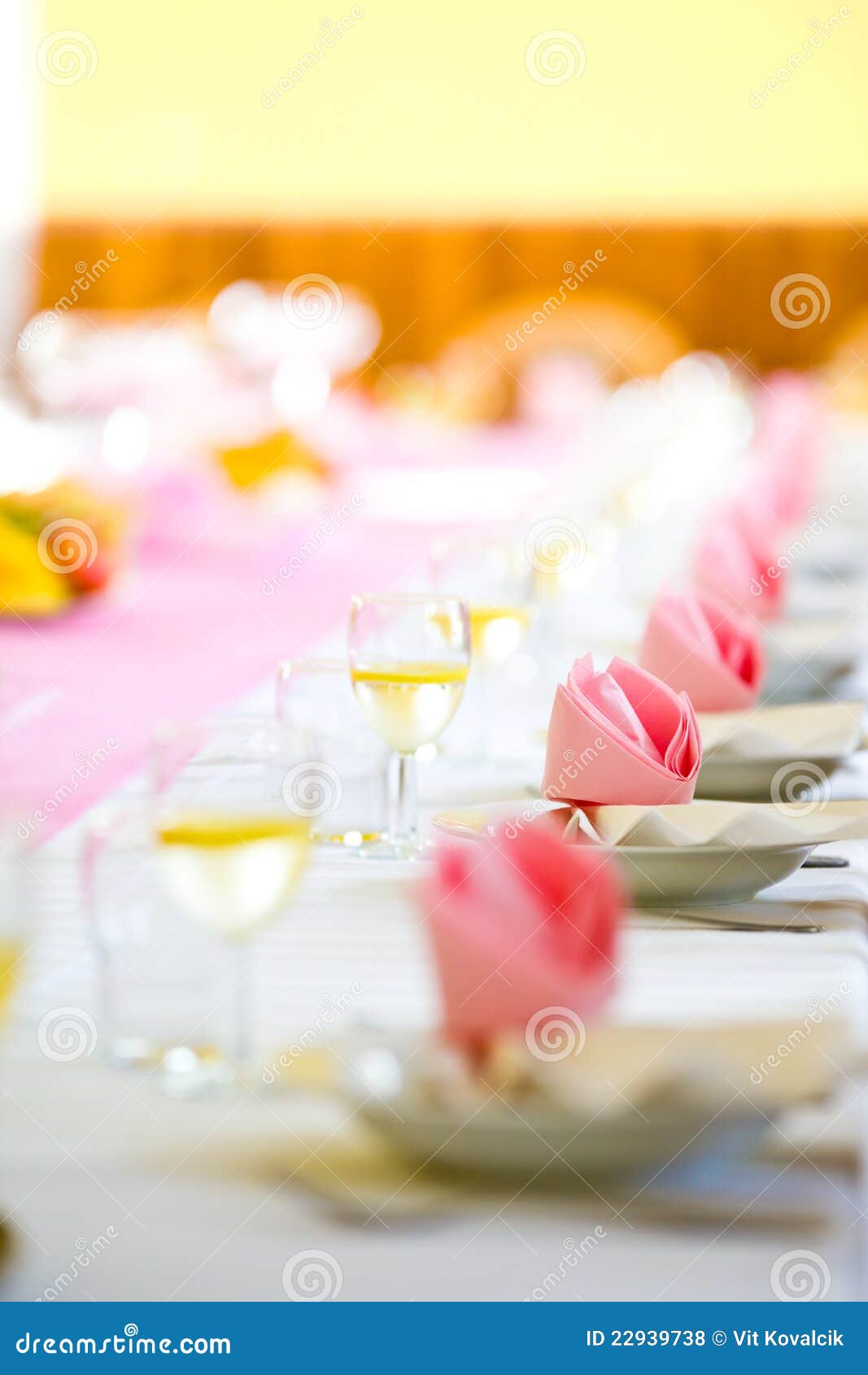 Reception or Wedding Table Ready, Stock Photo - Image of nappy ...
