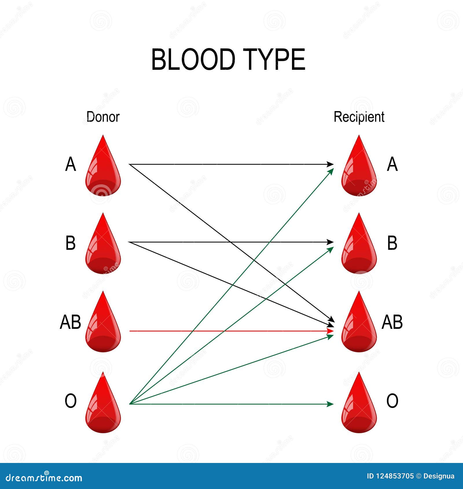 Receptor E Doador Tipos De Sangue Ilustração do Vetor - Ilustração de ...