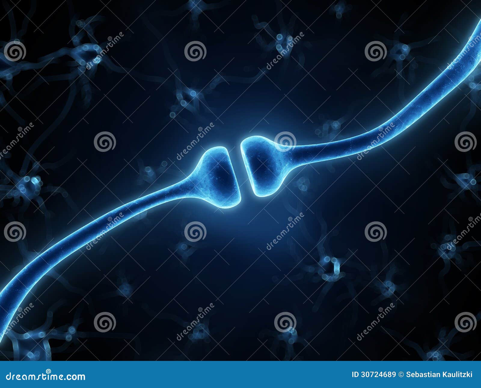 Receptor humano stock de ilustración. Ilustración de neurona - 30724689