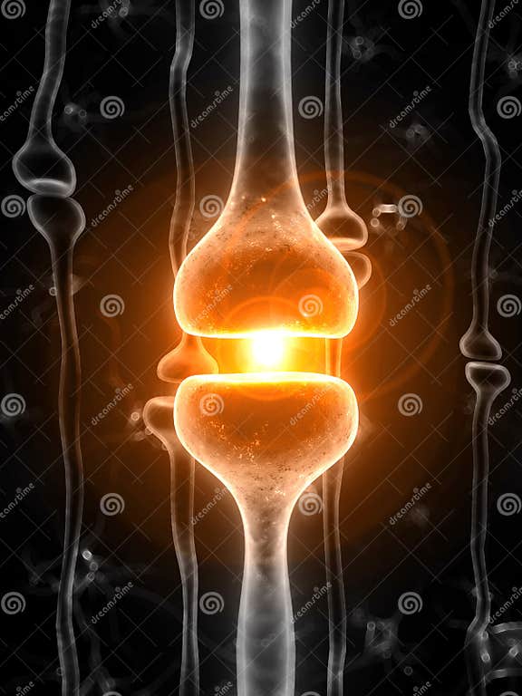 Receptor humano destacado stock de ilustración. Ilustración de nervio ...