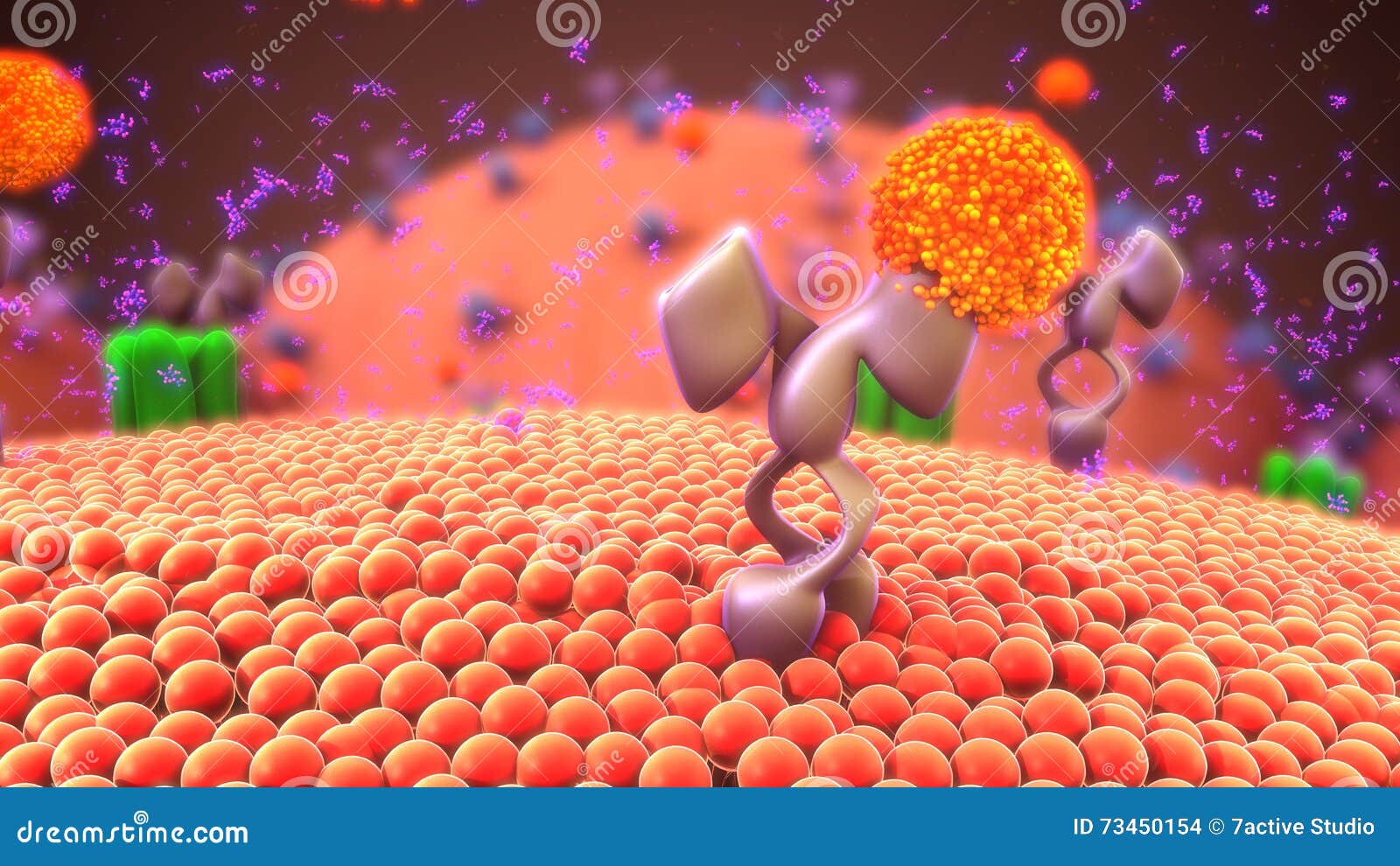 Receptores De La Membrana Celular Stock de ilustración - Ilustración de ...