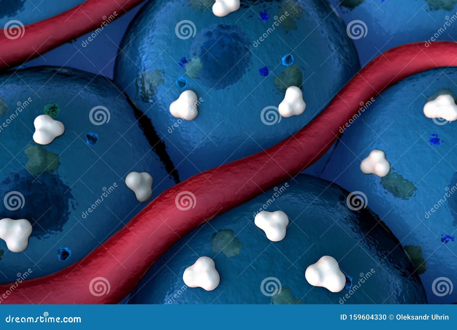 Receptors and Vein on the Cells Stock Illustration - Illustration of ...