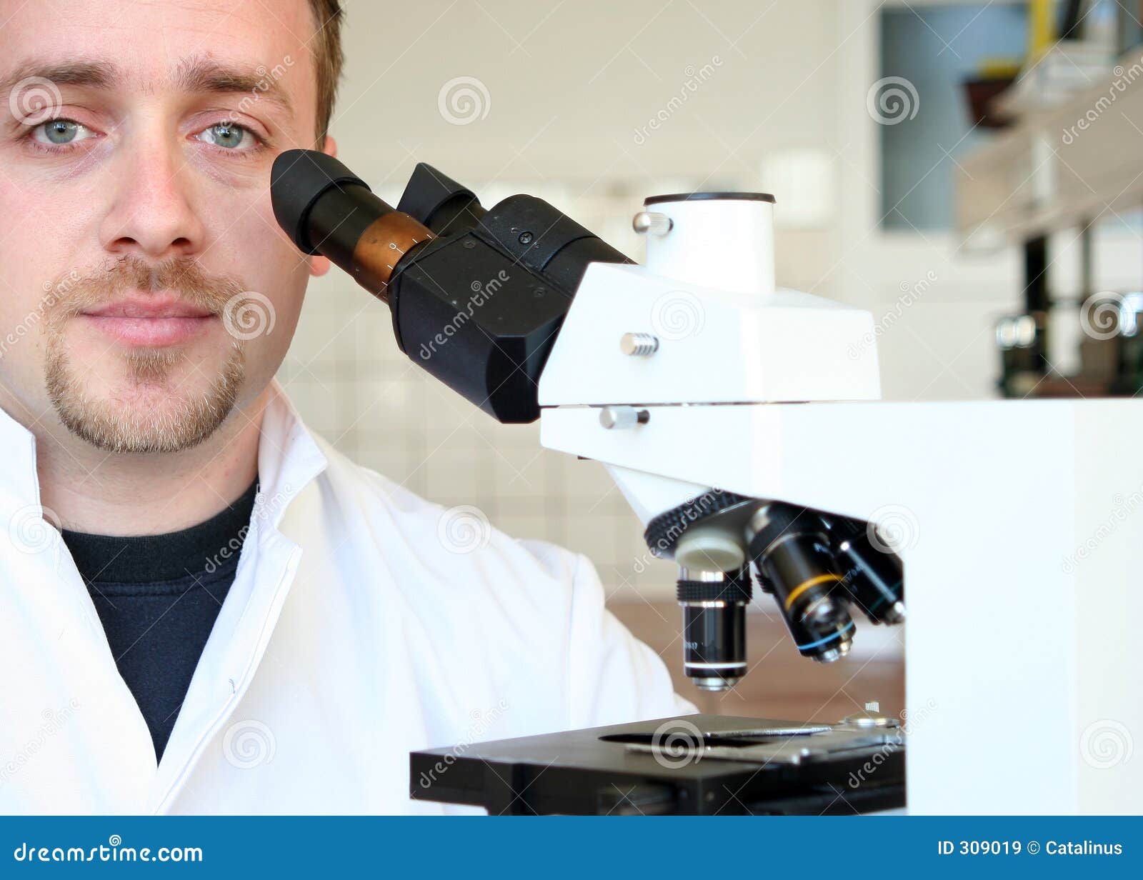 Recherche Scientifique Dans Le Laboratoire 2 Image stock - Image du ...