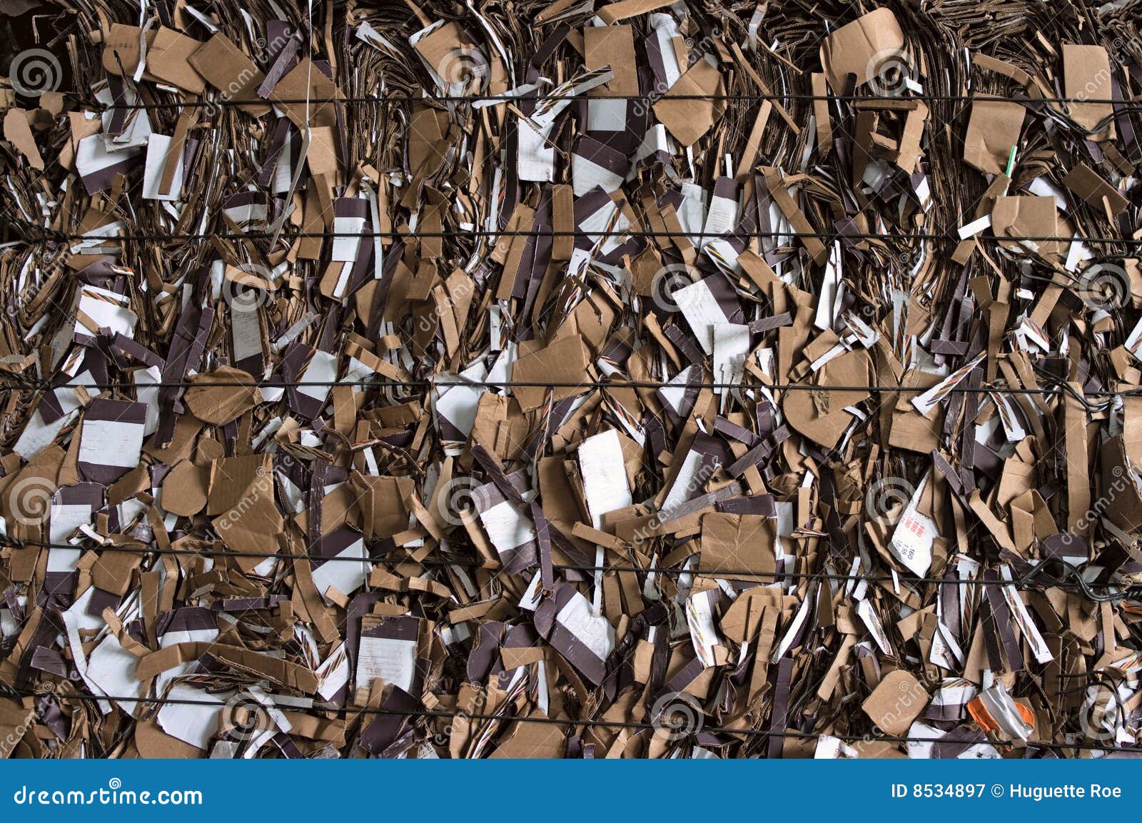 Reciclaje De La Bala Del Cartón Imagen de archivo - Imagen de casa ...