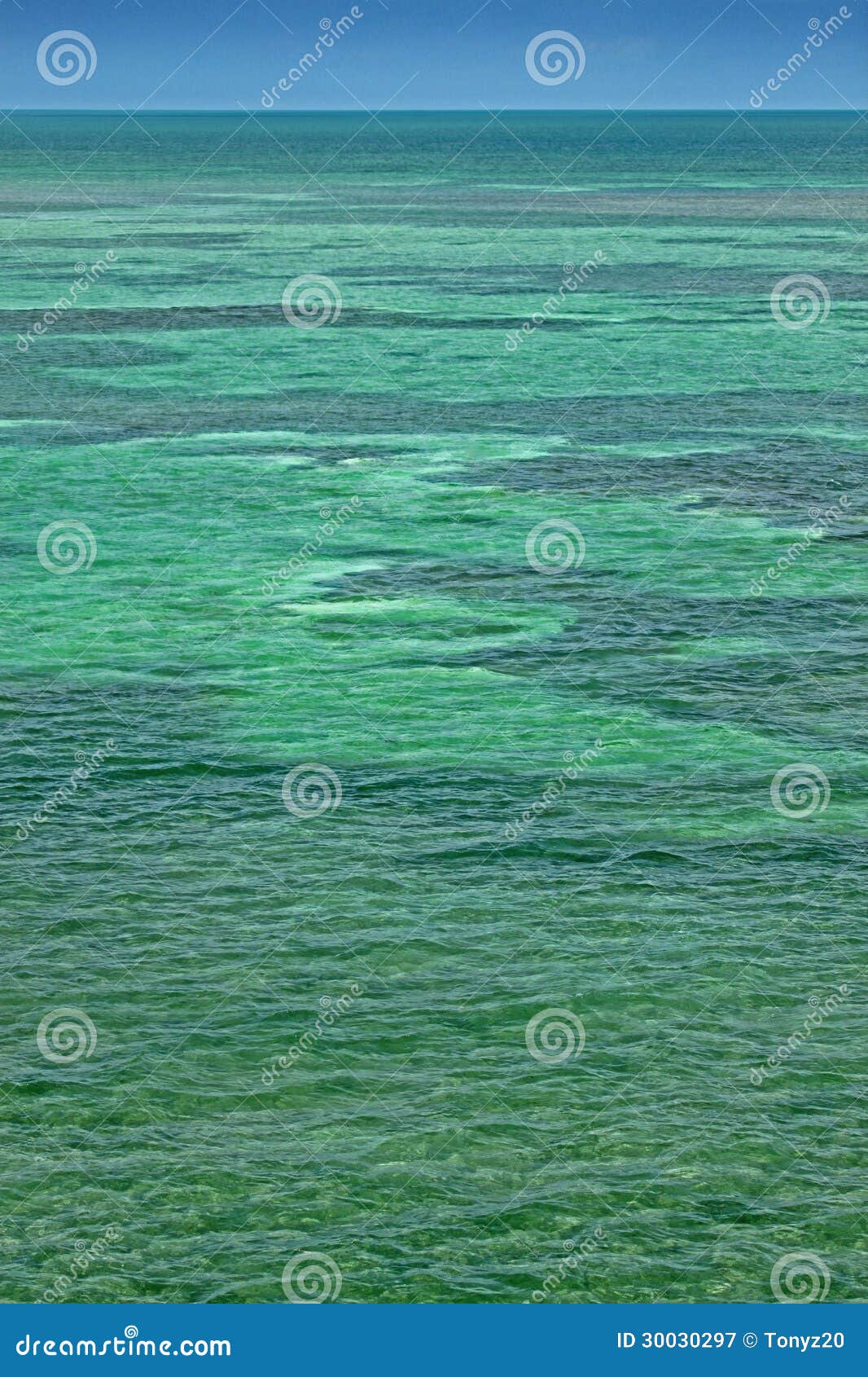 Recife do oceano imagem de stock. Imagem de paisagem - 30030297