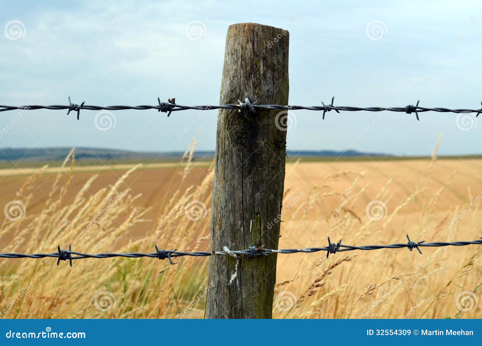 Recinto del filo spinato immagine stock. Immagine di agricoltura - 32554309