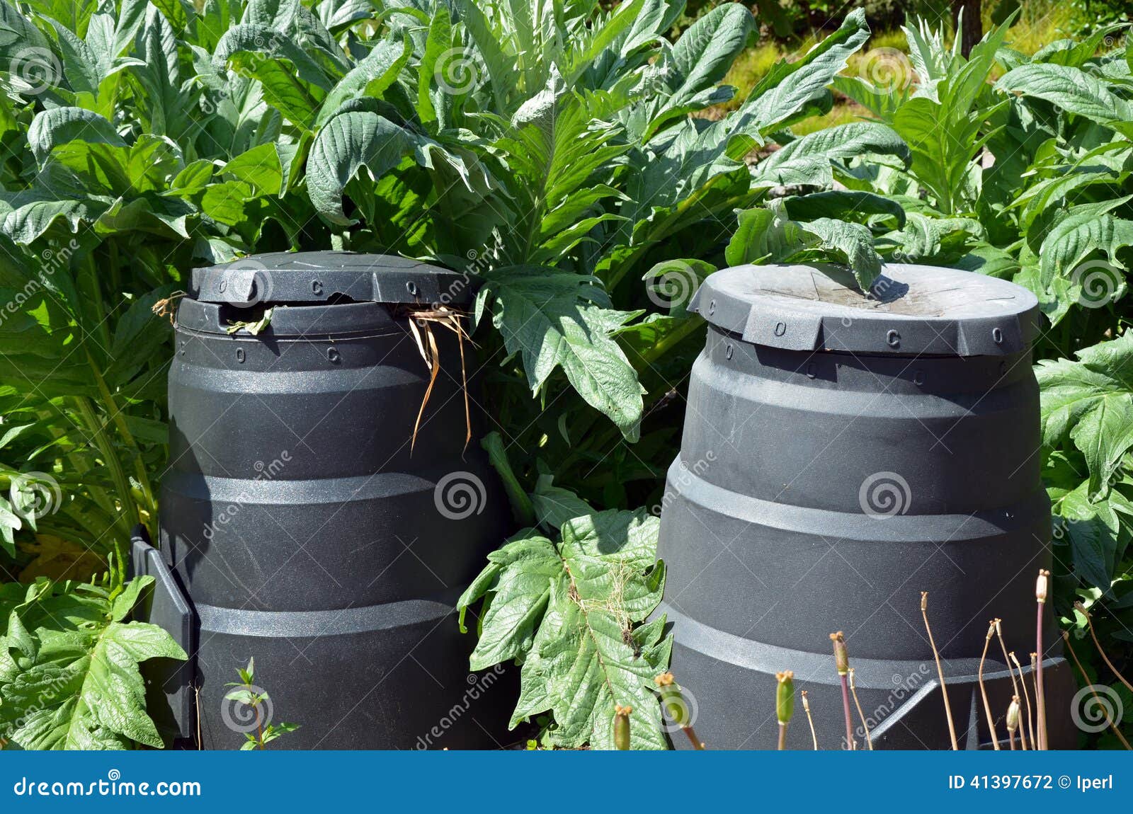 Recipienti Di Compostaggio in Giardino Fotografia Stock - Immagine di ...