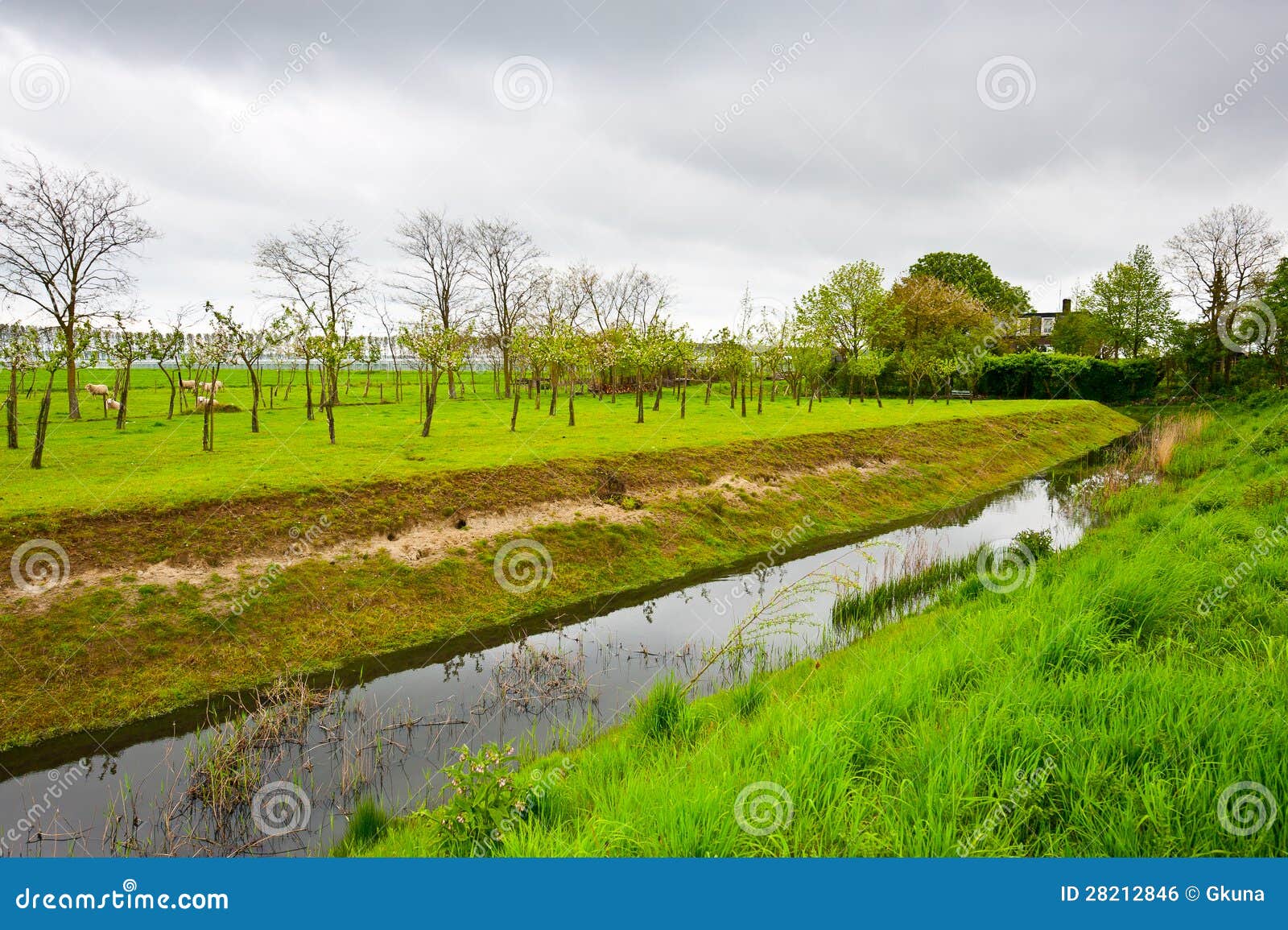 Reclaimed Land stock photo. Image of country, farming - 28212846