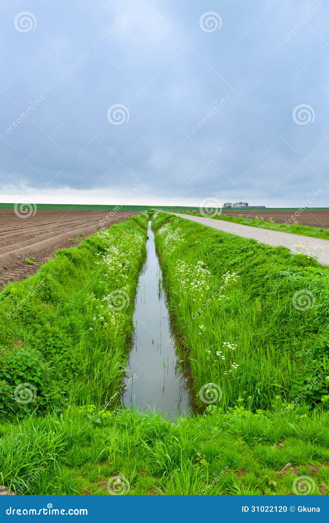 Reclaimed Land stock photo. Image of farming, outdoor - 31022120