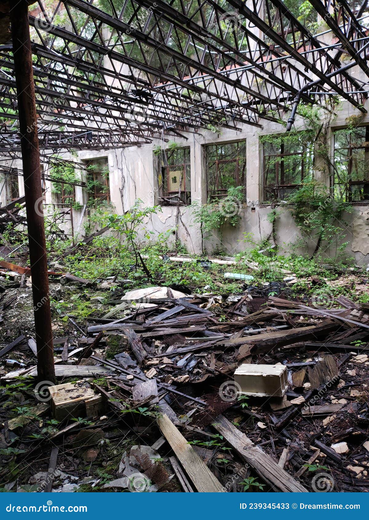 Reclaimed by mother nature stock image. Image of reclaimed - 239345433