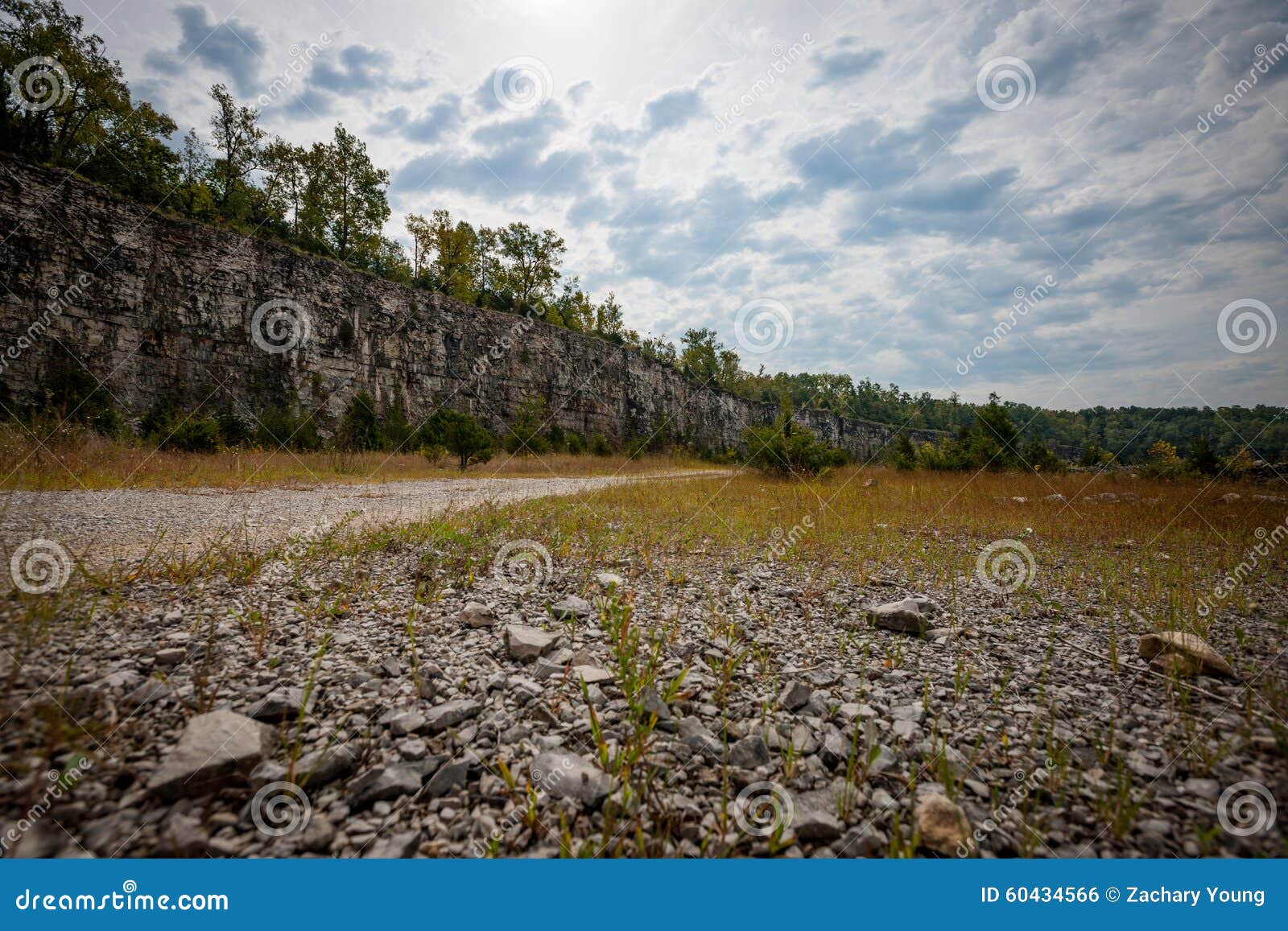 Reclaimed quarry stock photo. Image of beech, multi, colored - 60434566
