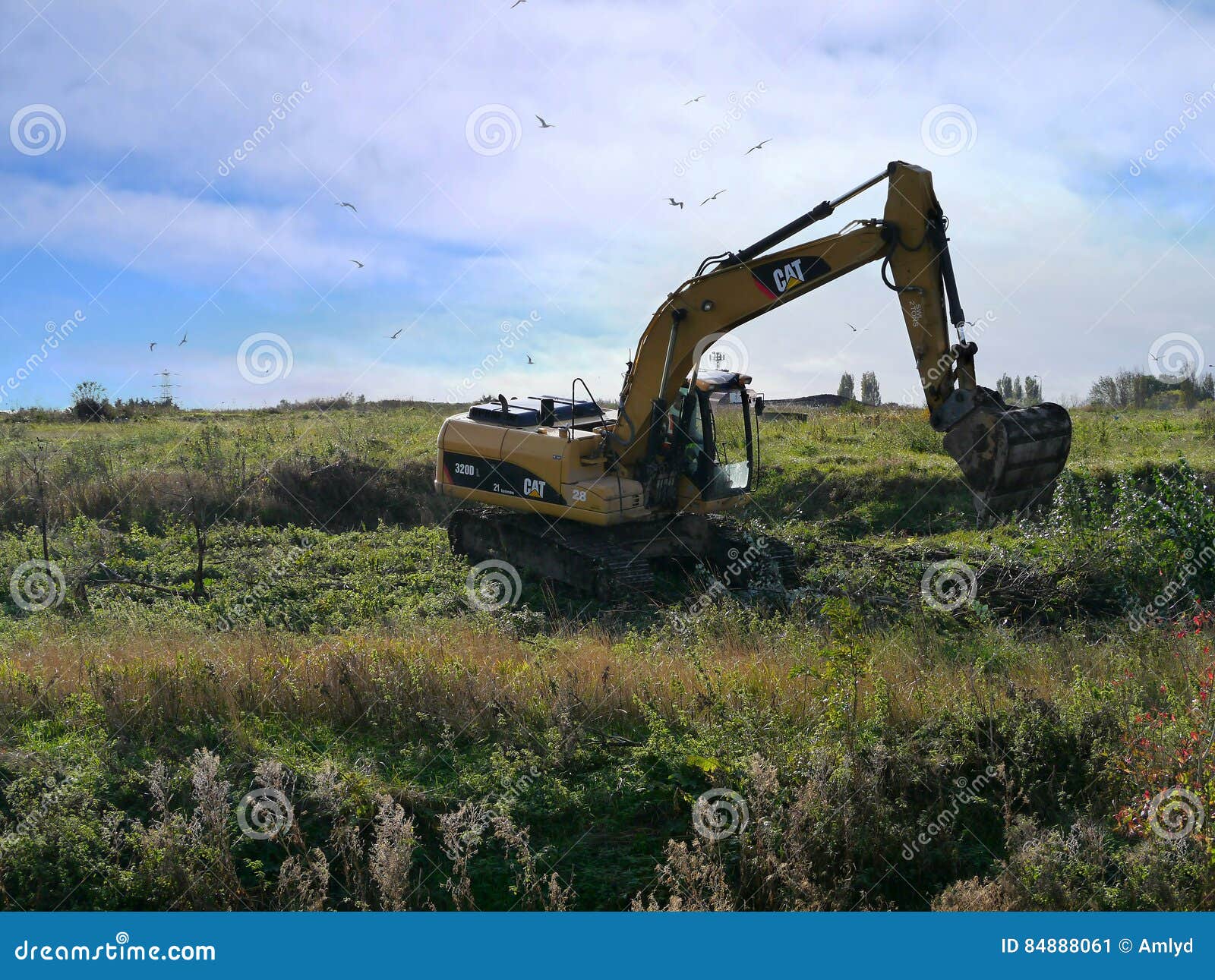 Reclamation Work in Vegetation Editorial Photo - Image of crane ...