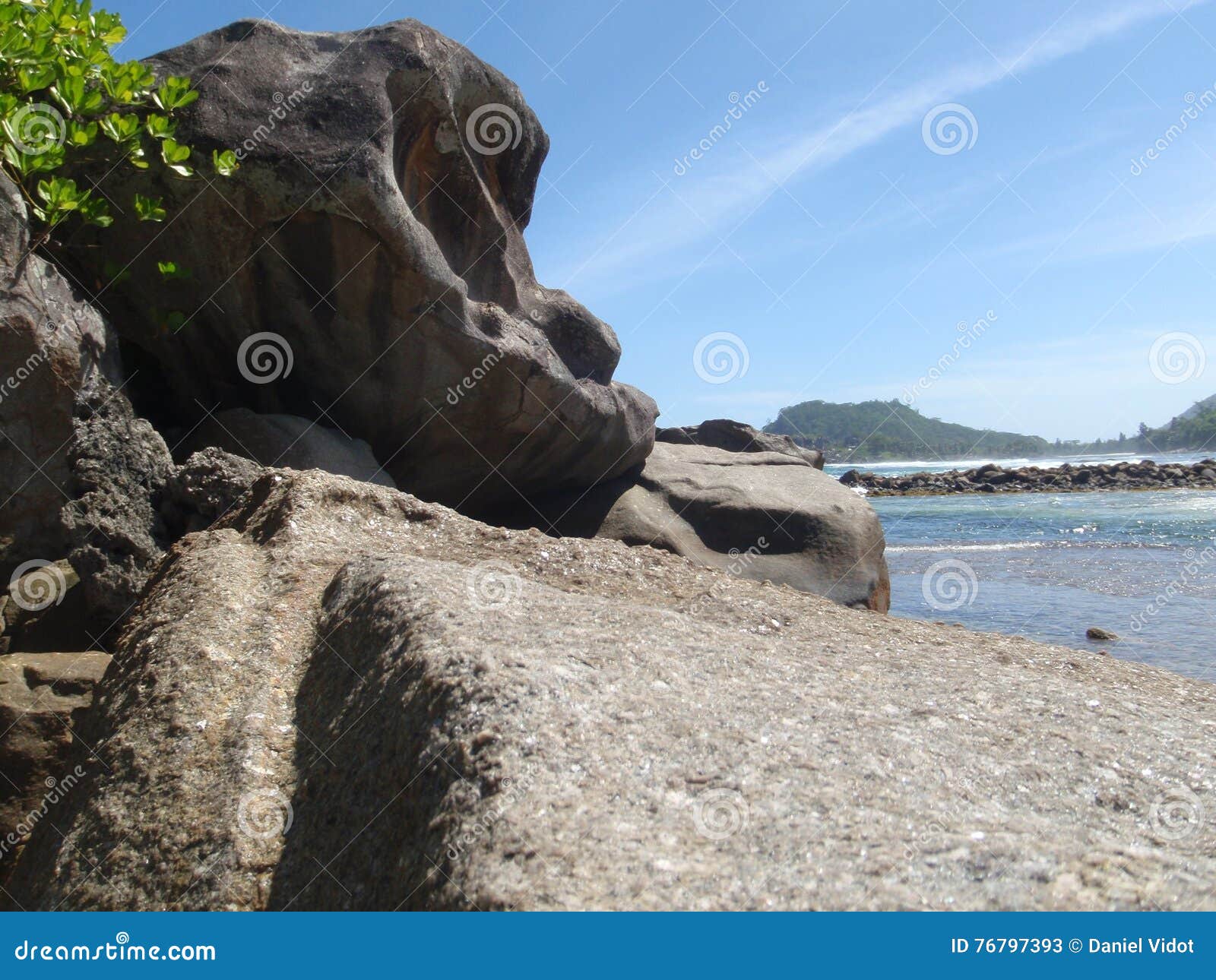 The Reclining Ape stock image. Image of reclining, seychelles - 76797393