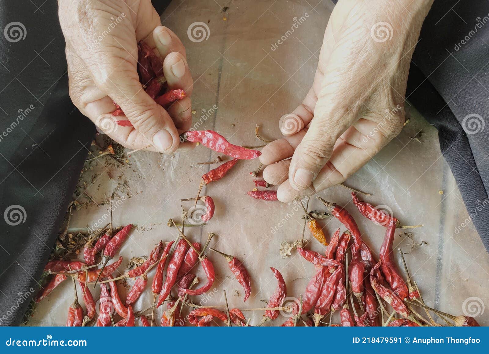 Recogiendo El Trozo De Chile Imagen de archivo - Imagen de insecto ...