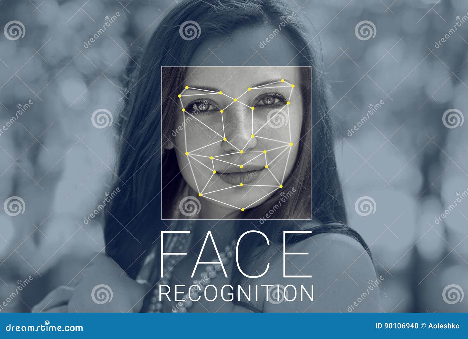 Recognition of Female Face. Biometric Verification and Identification ...