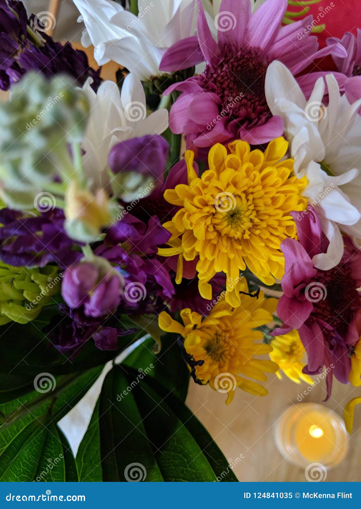 Focus on the flowers stock image. Image of flowers, focus - 124841035