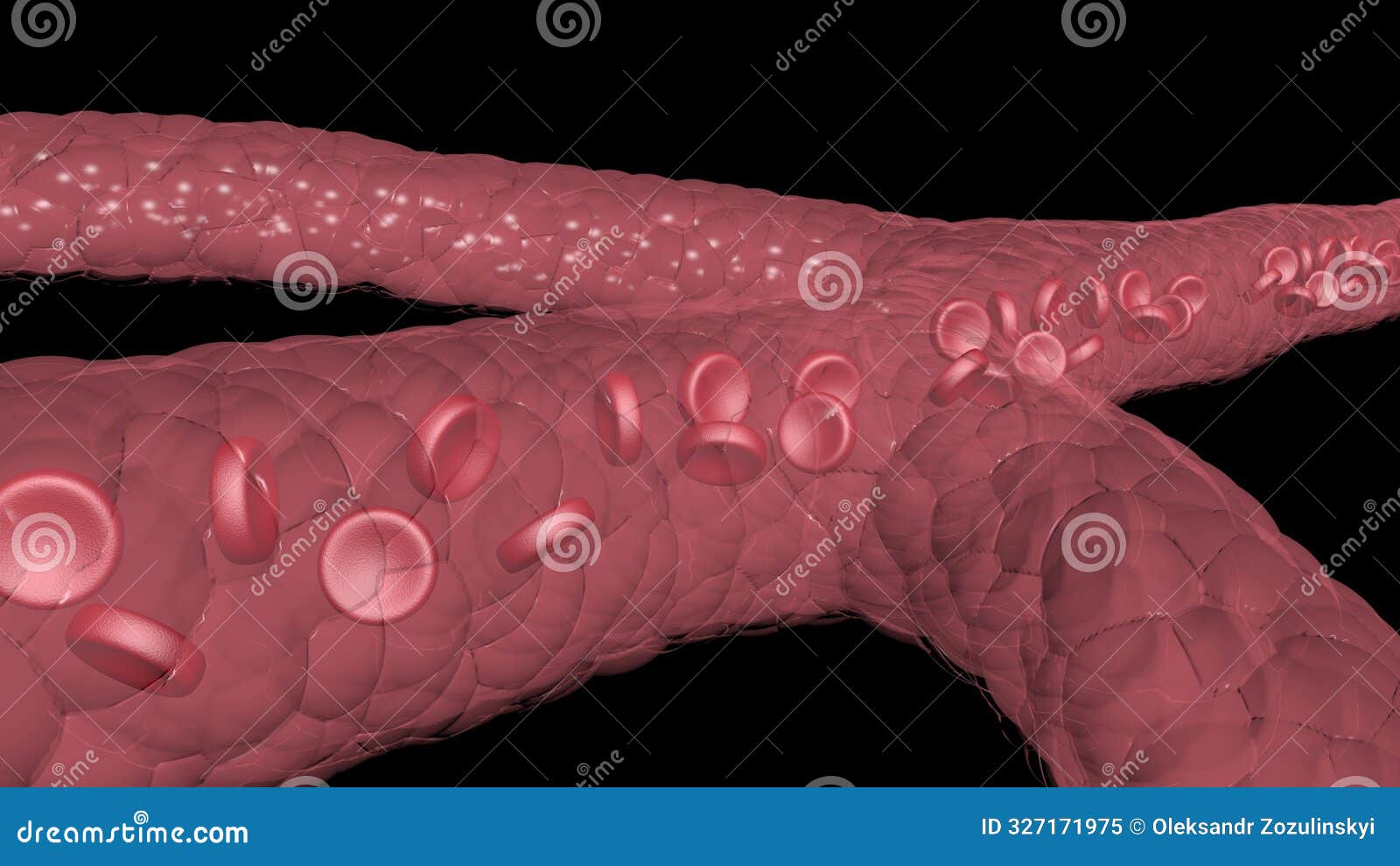 Reconstruction of Vessel Vein Platelets Medical Experiment 3d Stock ...