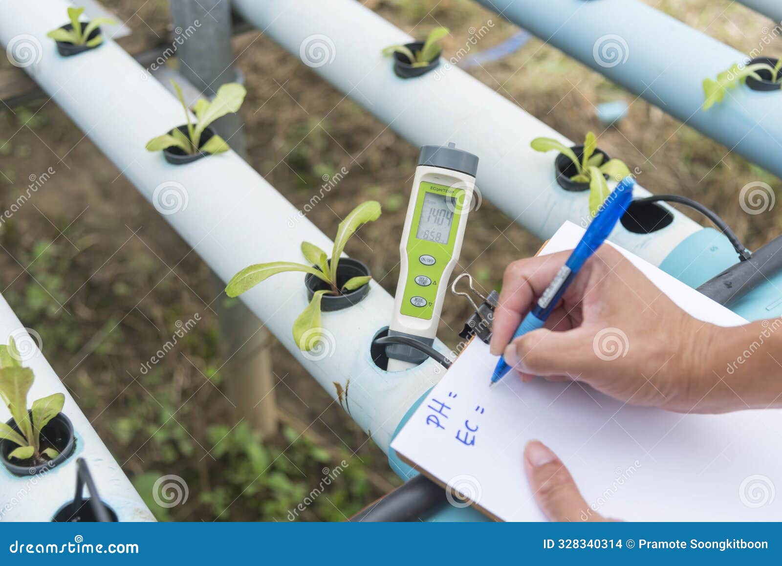 Record the EC Value of Water in Vegetable Hydroponics Stock Photo ...