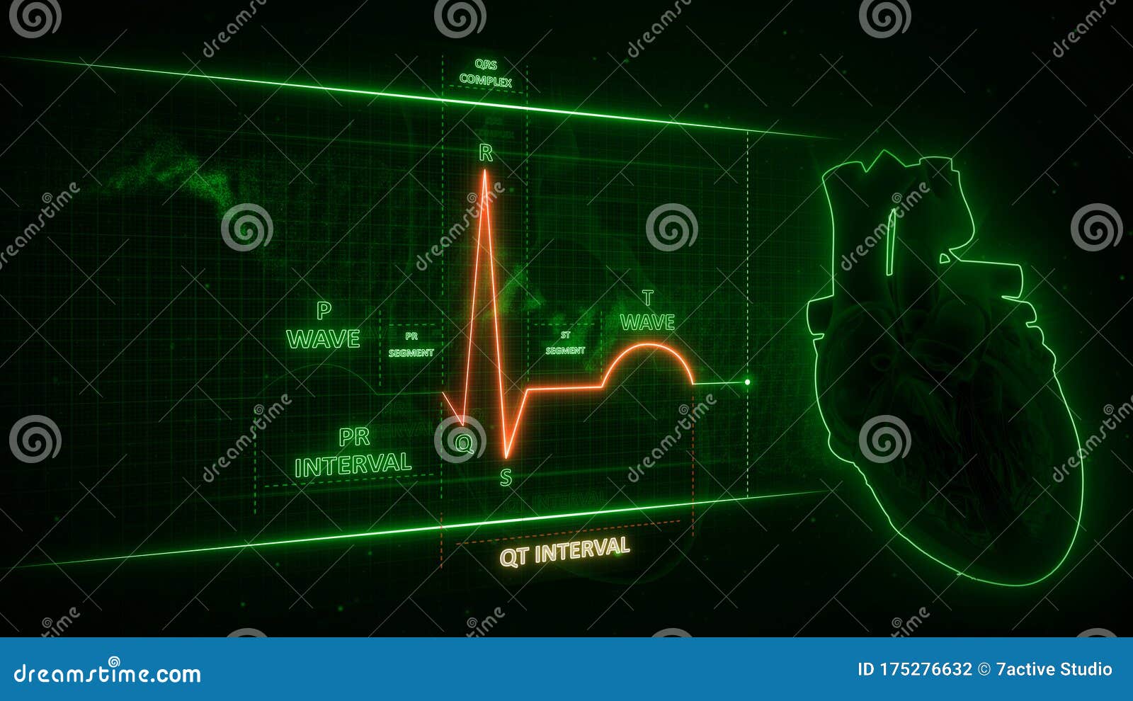 QT Interval of Electrocardiogram Wave or ECG or EKG Stock Illustration ...