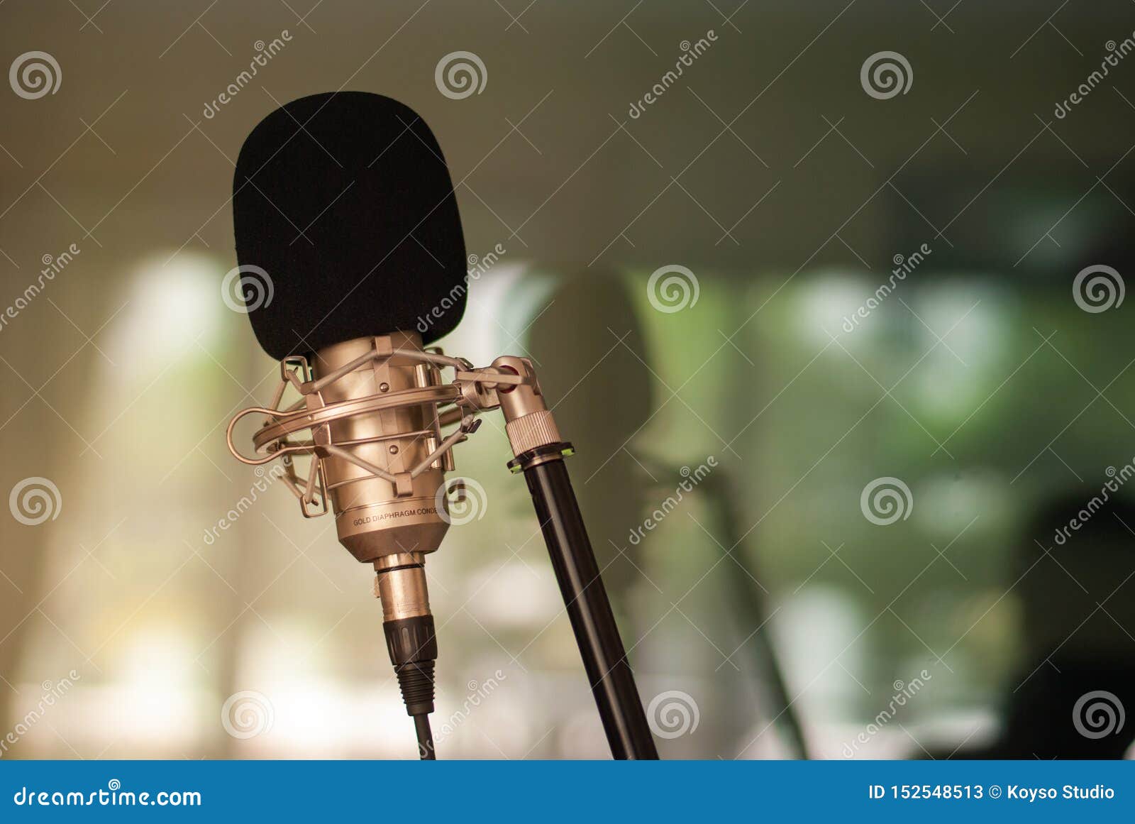 Recording Room Singing Concept Stock Image - Image of hall, party ...