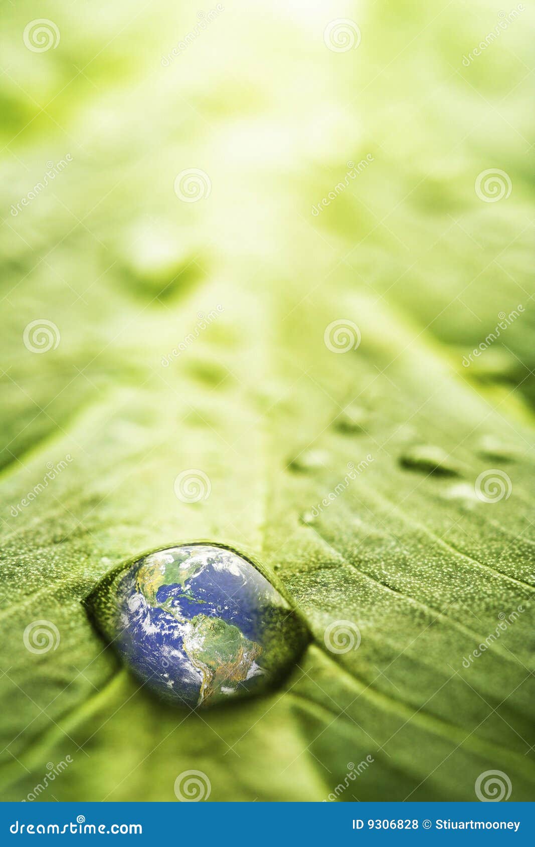 Recovery - earth stock photo. Image of nature, environmental - 9306828