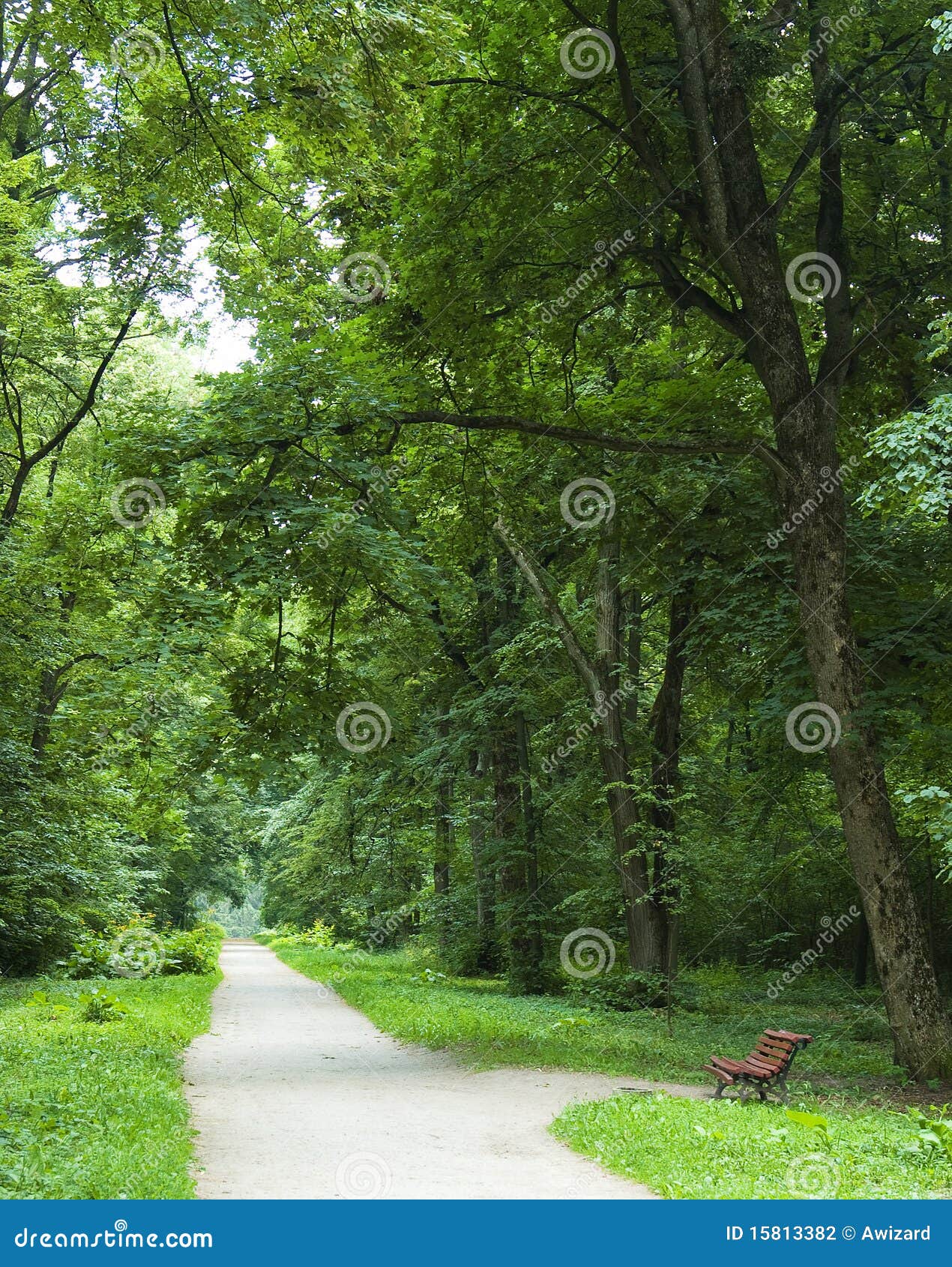 Recreation Area in the Forest Stock Photo - Image of path, chair: 15813382