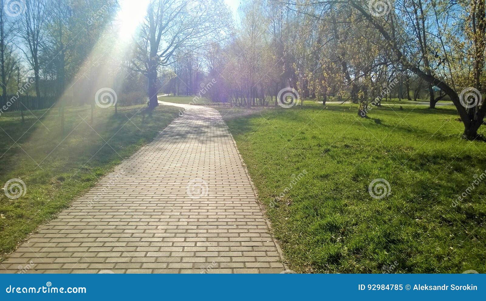 Recreation Area, Parks, Walks, Warm Sun Rays,trees, Spring, Sunlight ...