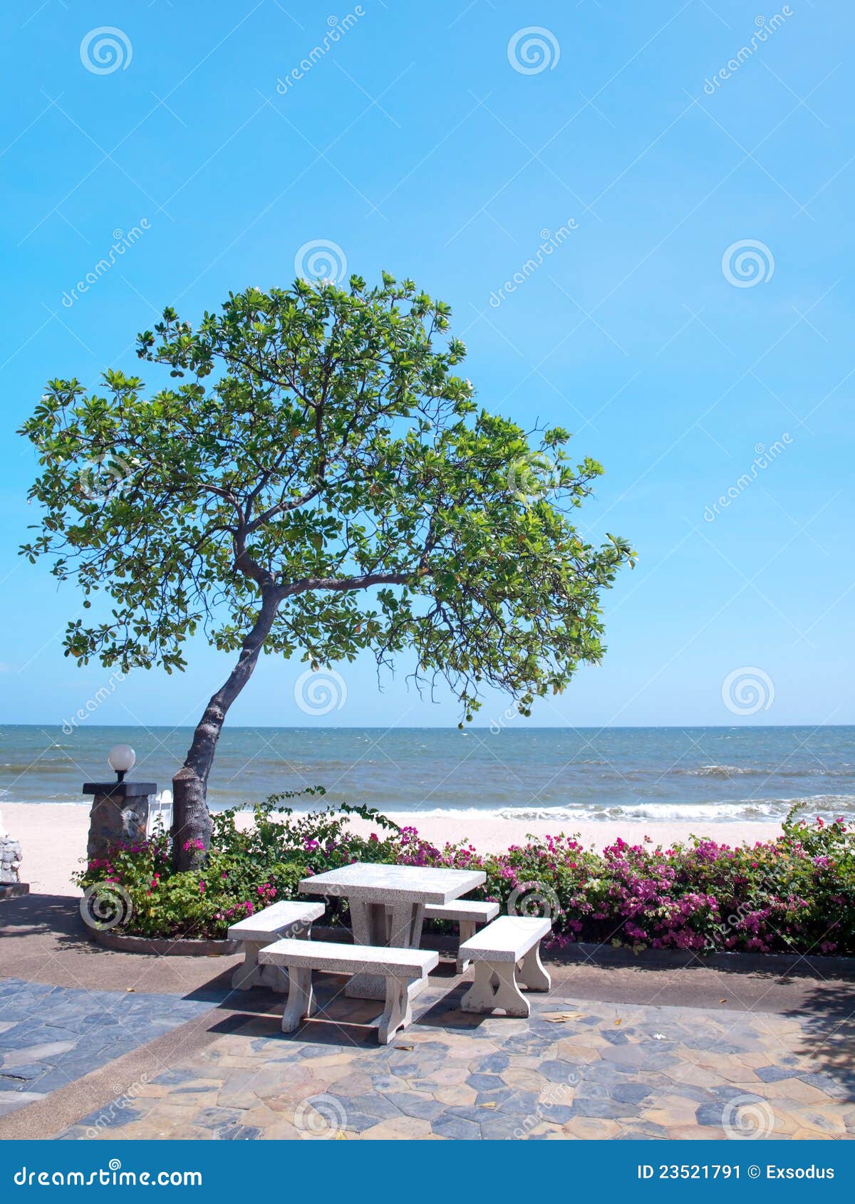 Recreational area stock image. Image of pong, outdoor - 23521791