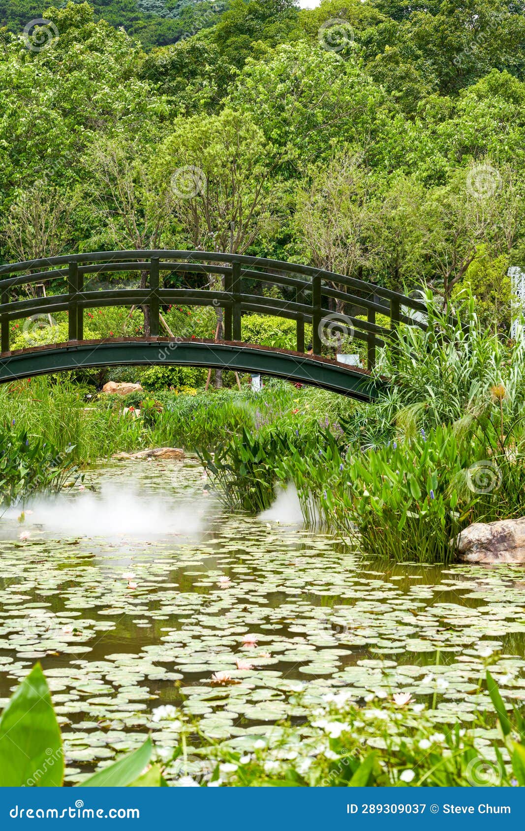 Recreational Beautiful Plants and Trail View in the Park Stock Image ...