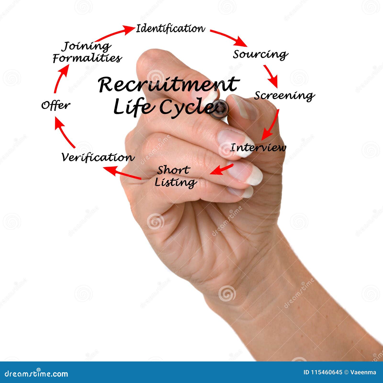 Recruitment Life Cycle stock image. Image of verification - 115460645