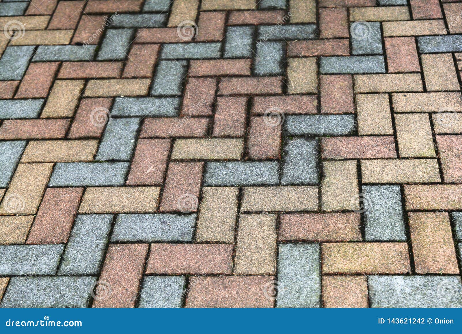 Rectangle Bricks Forming a Floor Stock Photo - Image of daylight ...