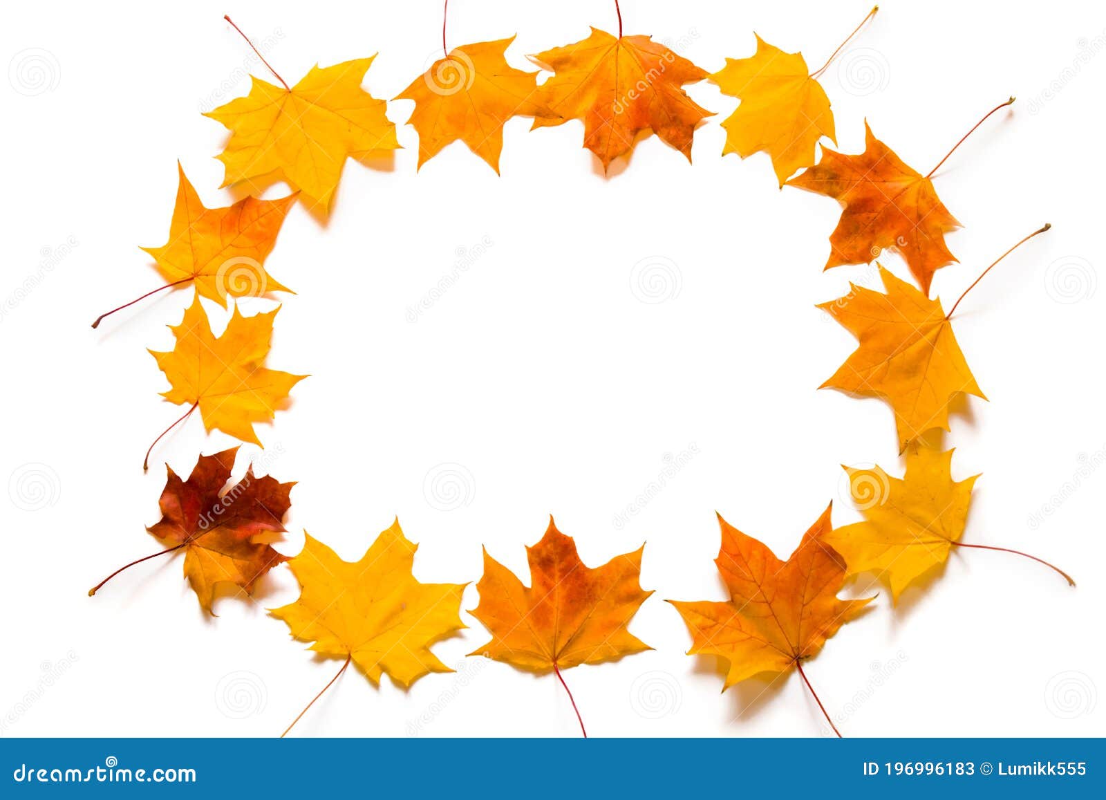 Rectangle Frame of Autumn Leaves Maple Tree Stock Image - Image of ...