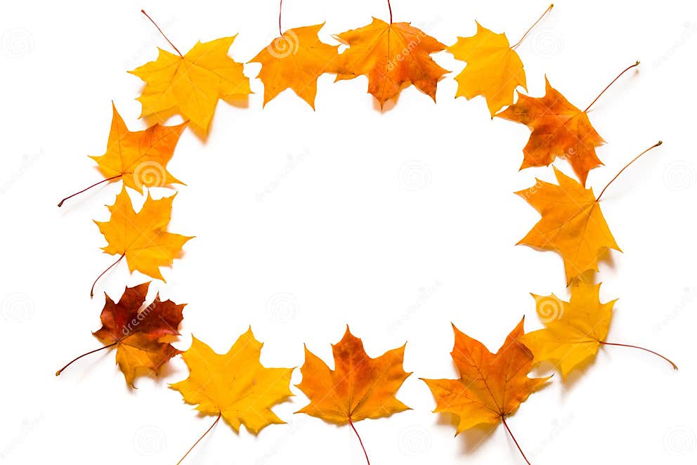 Rectangle Frame of Autumn Leaves Maple Tree Stock Image - Image of ...