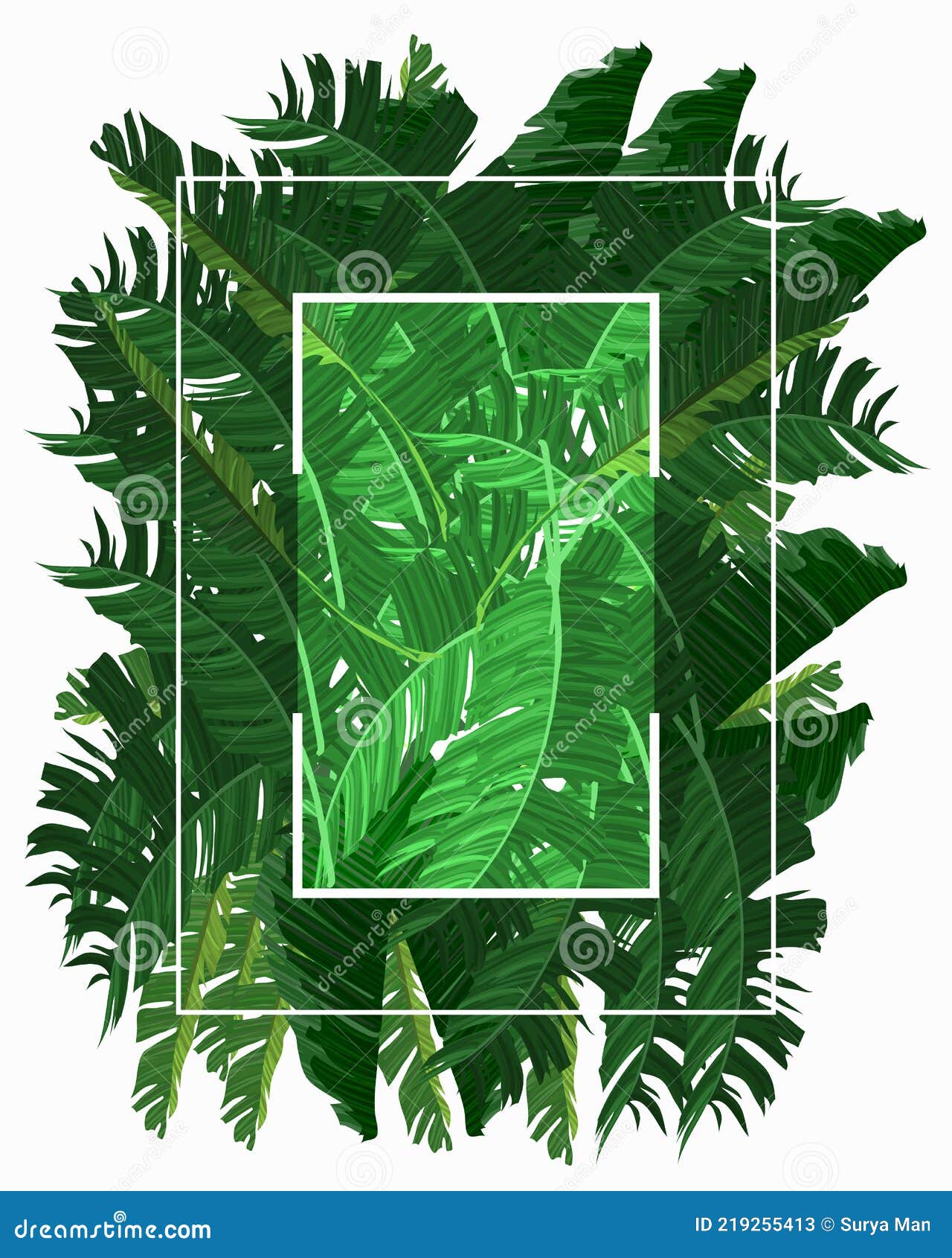 Rectangle Frame with Banana Leaves on White Background Stock Vector ...