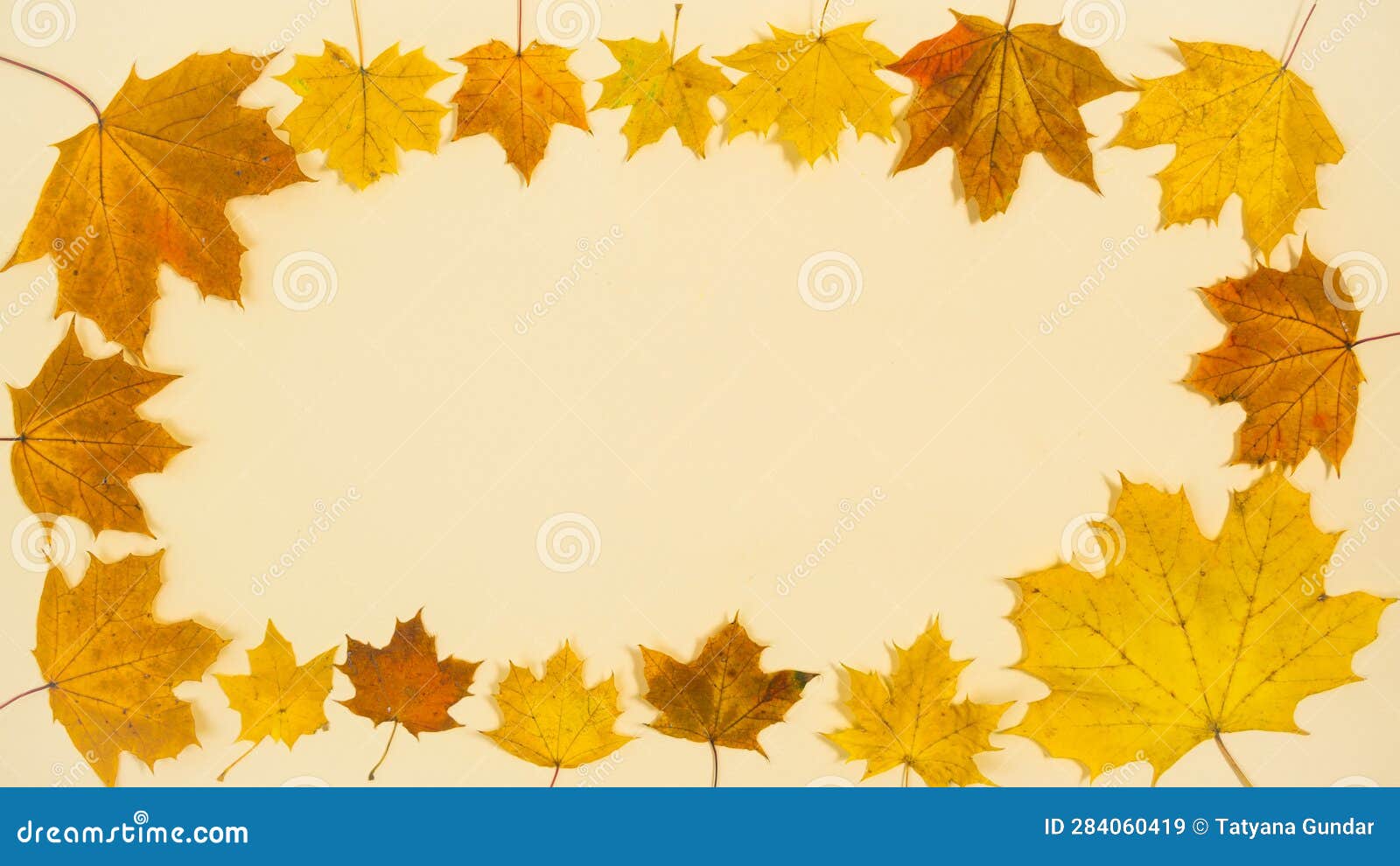 Rectangle Frame of Natural Yellow and Brown Autumn Maple Leaves on a ...